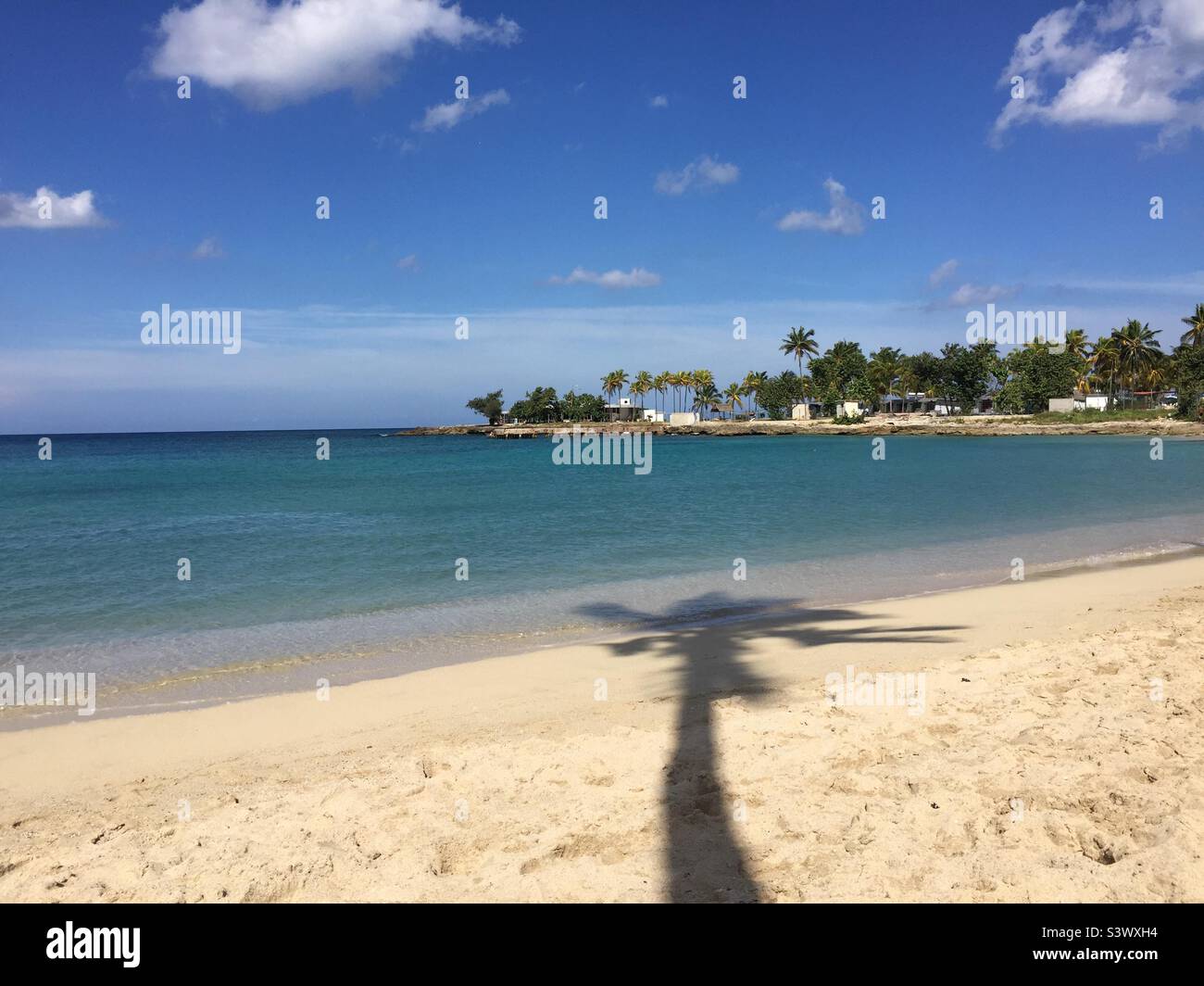 Shadow cast by the tree hi-res stock photography and images - Alamy