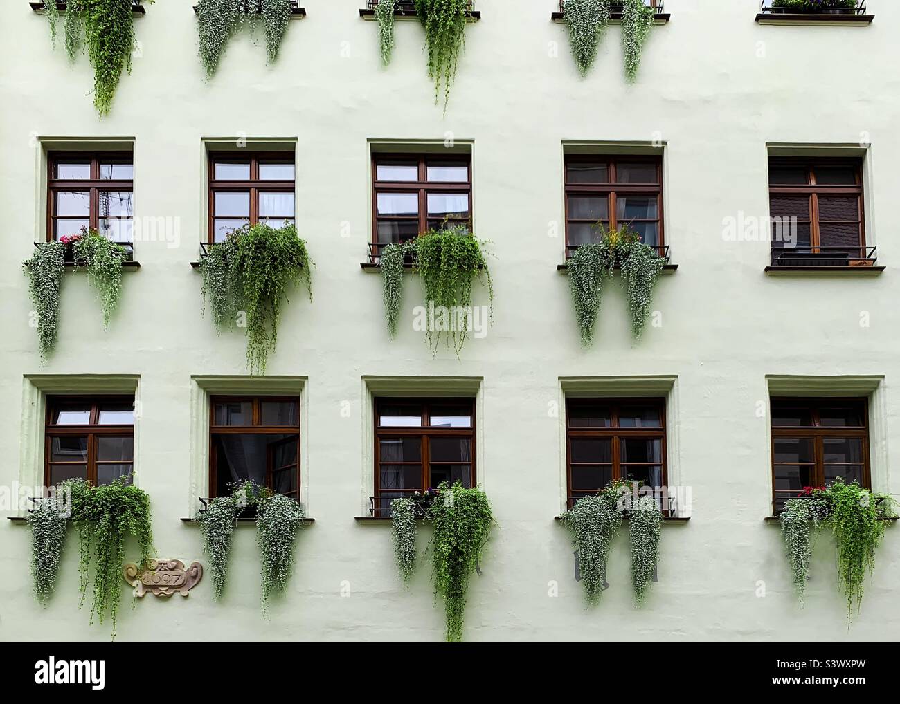 Green plants in windows Stock Photo - Alamy