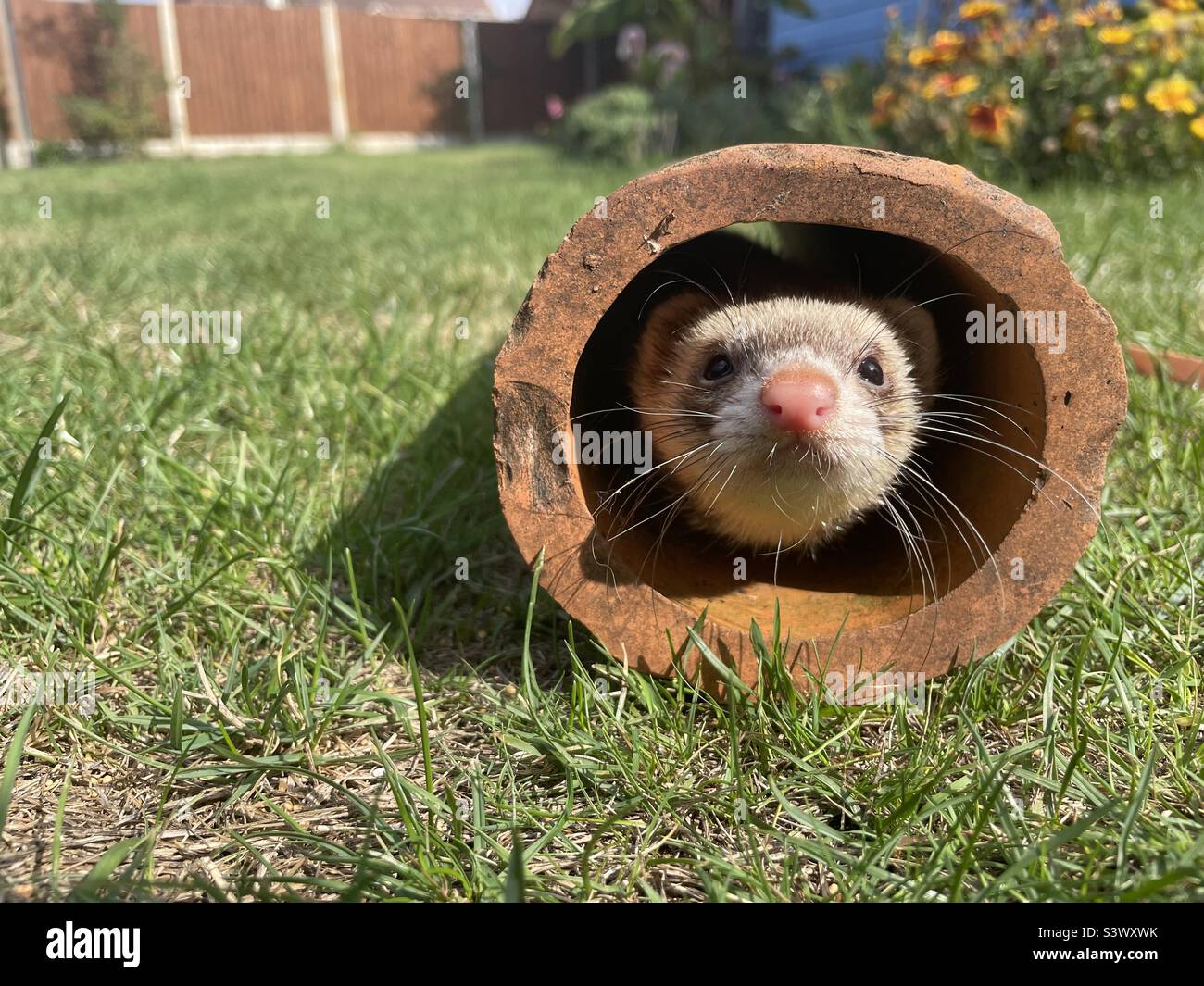 Playing tube hi-res stock photography and images - Alamy