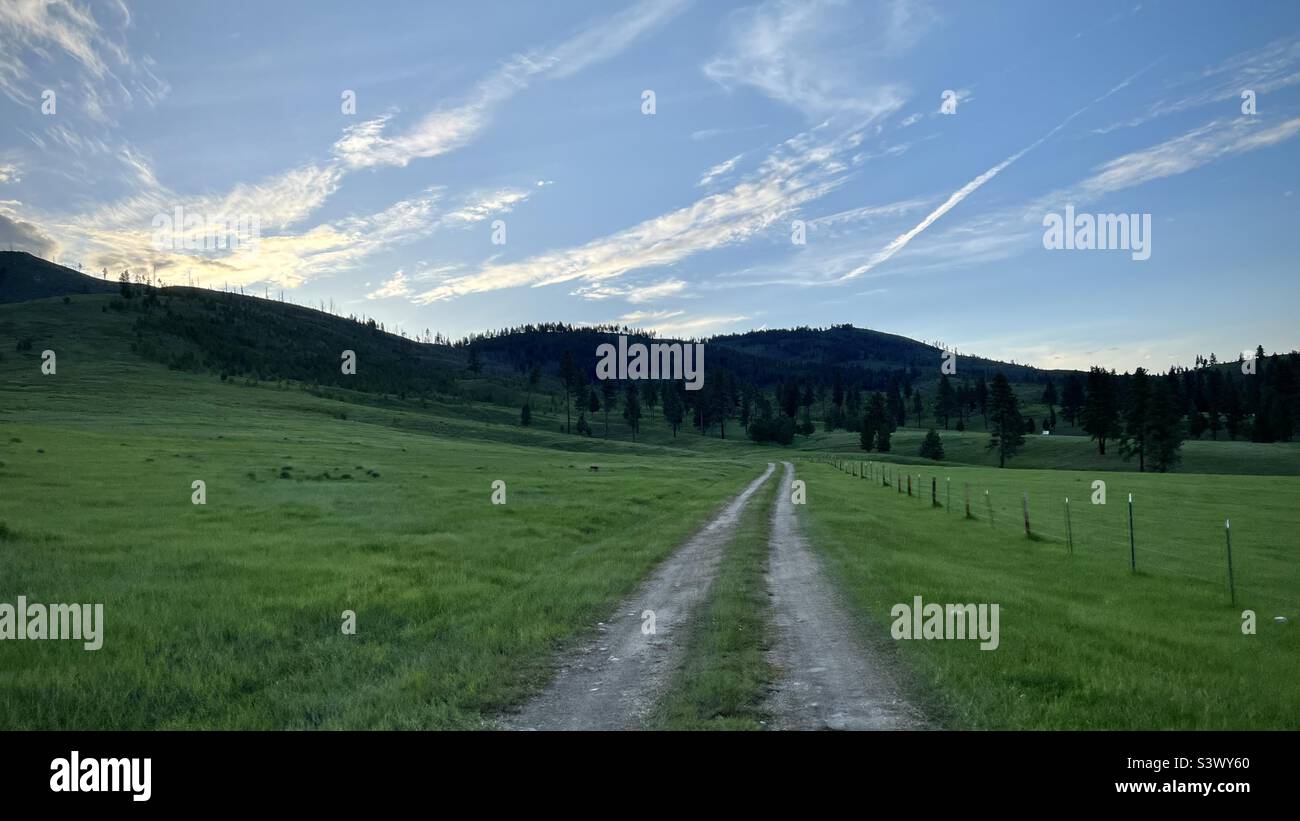Grass dirt overhead hi-res stock photography and images - Alamy
