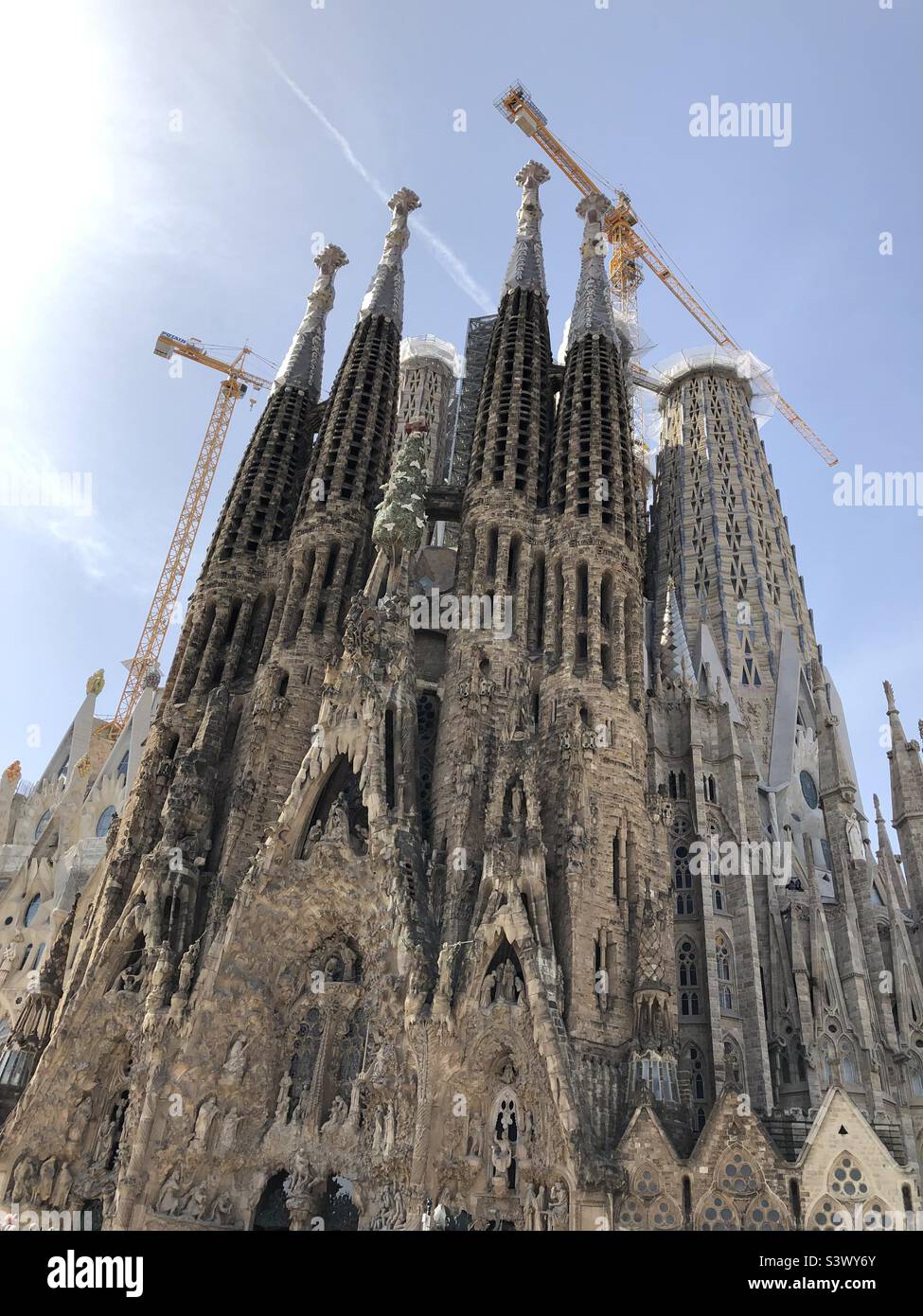 Sagarda familia hi-res stock photography and images - Alamy