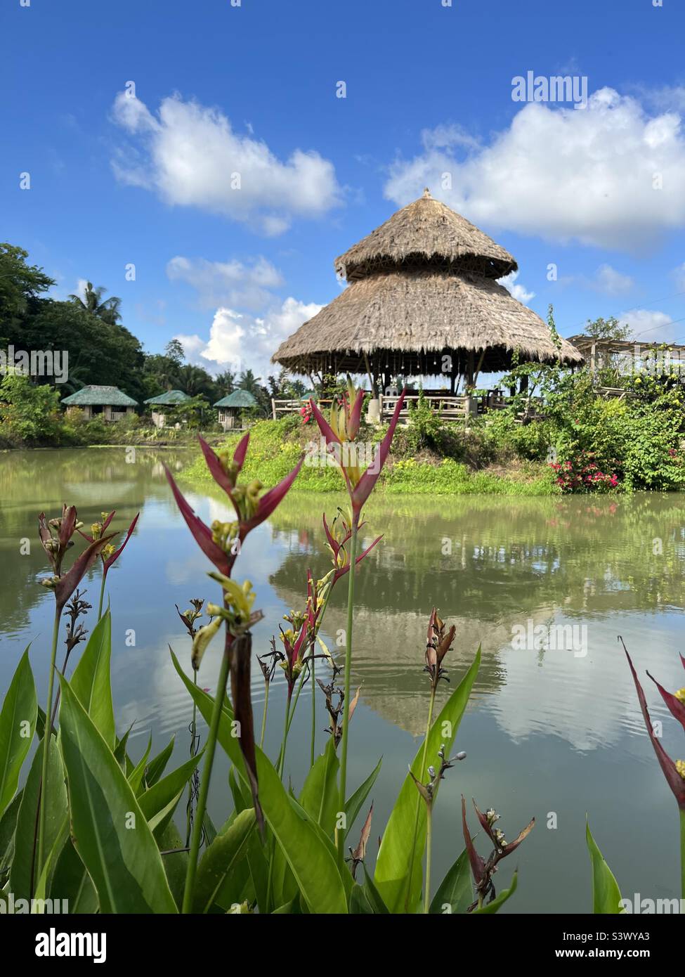 Flowers with nipa hut in the background Stock Photo - Alamy