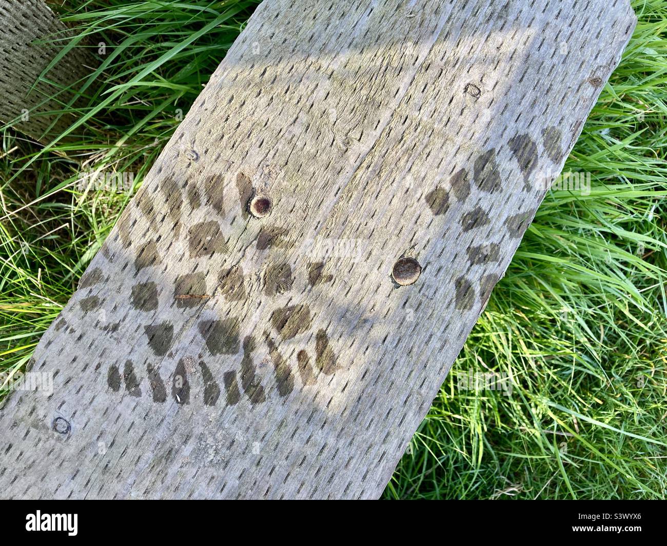 Boot print on a stile, Church Stretton, Shropshire Stock Photo - Alamy