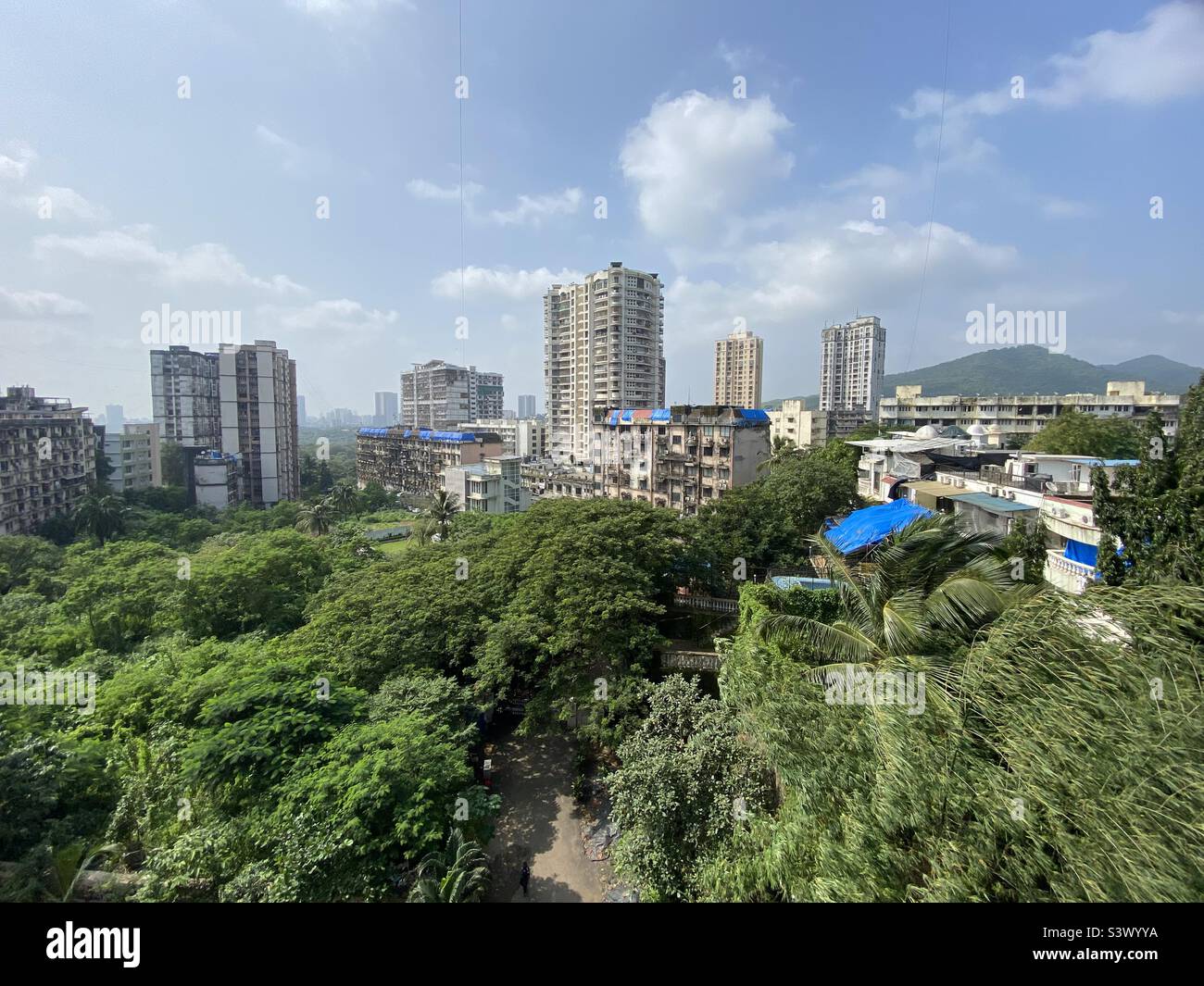 Aarey trees hi-res stock photography and images - Alamy