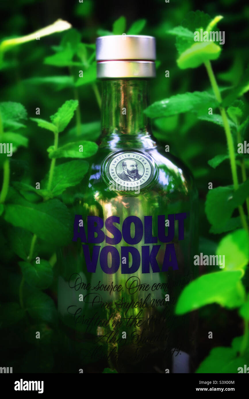 Vodka absolut hi-res stock photography and images - Alamy