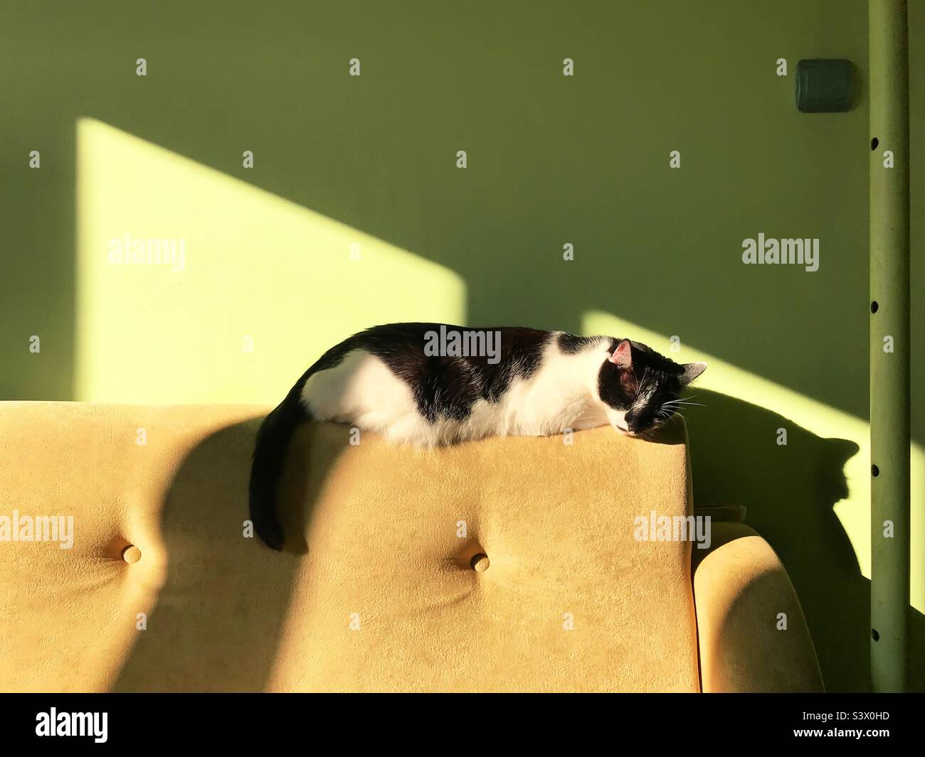 Shadows in the home hi-res stock photography and images - Alamy