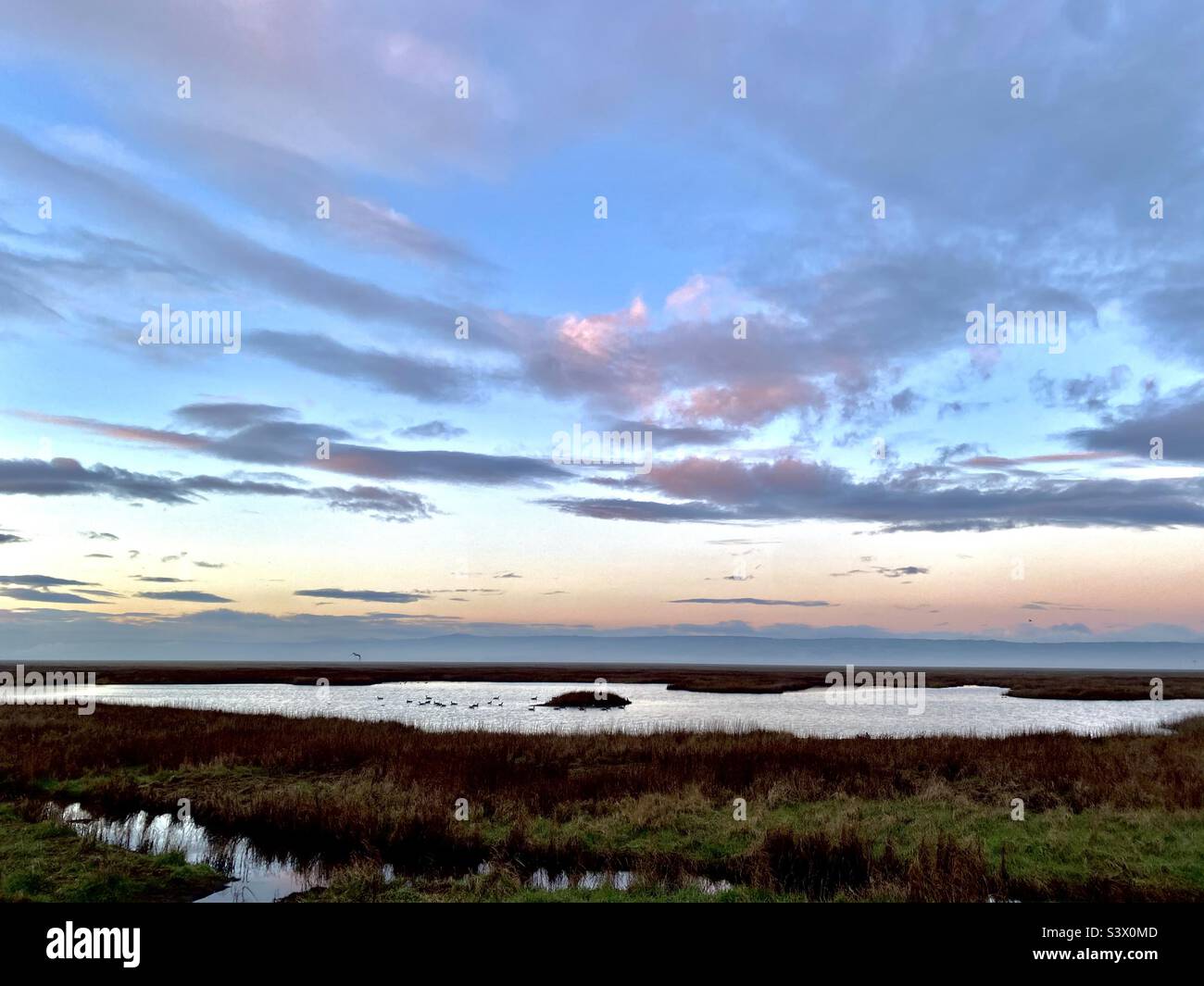 Parkgate marshes hi-res stock photography and images - Alamy
