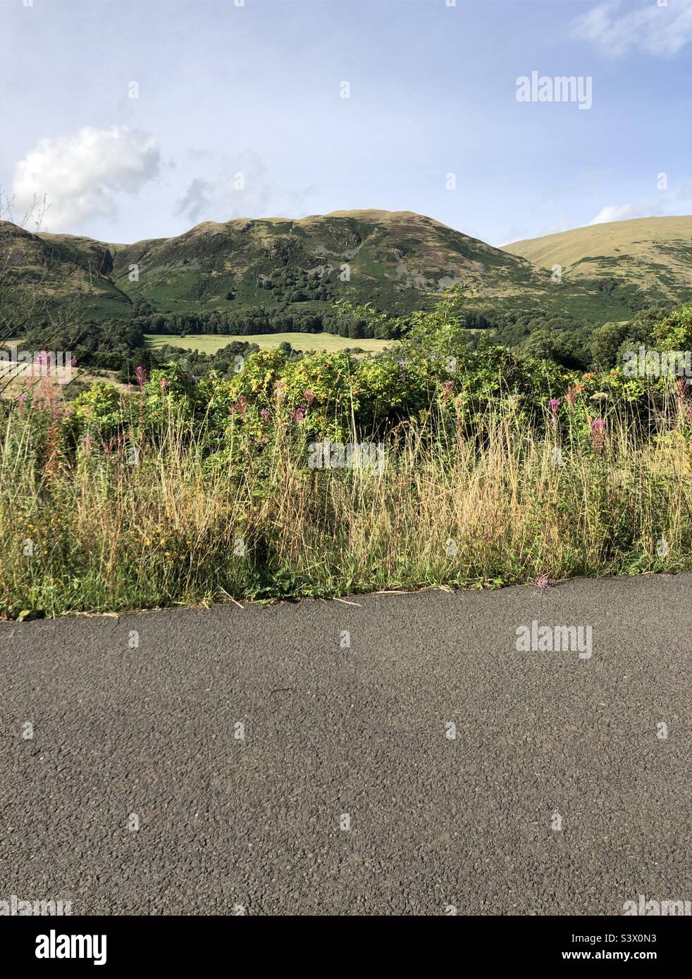 Ochil hills hi-res stock photography and images - Alamy