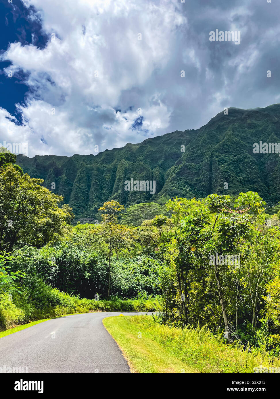Tropical mountain path smartphone stock photos and images - Alamy