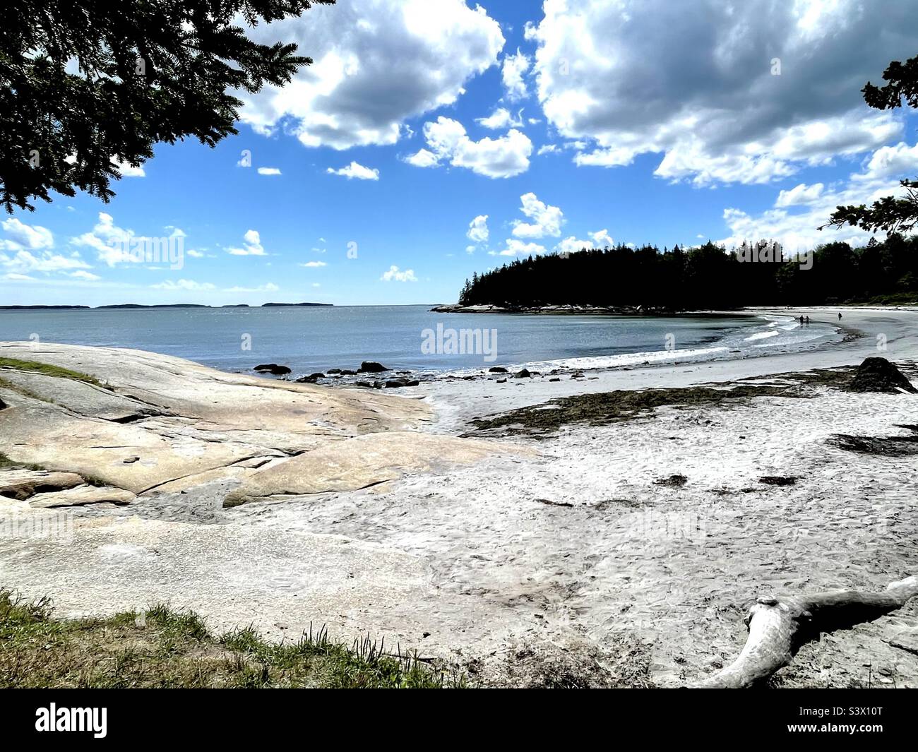 Birch point hi-res stock photography and images - Alamy