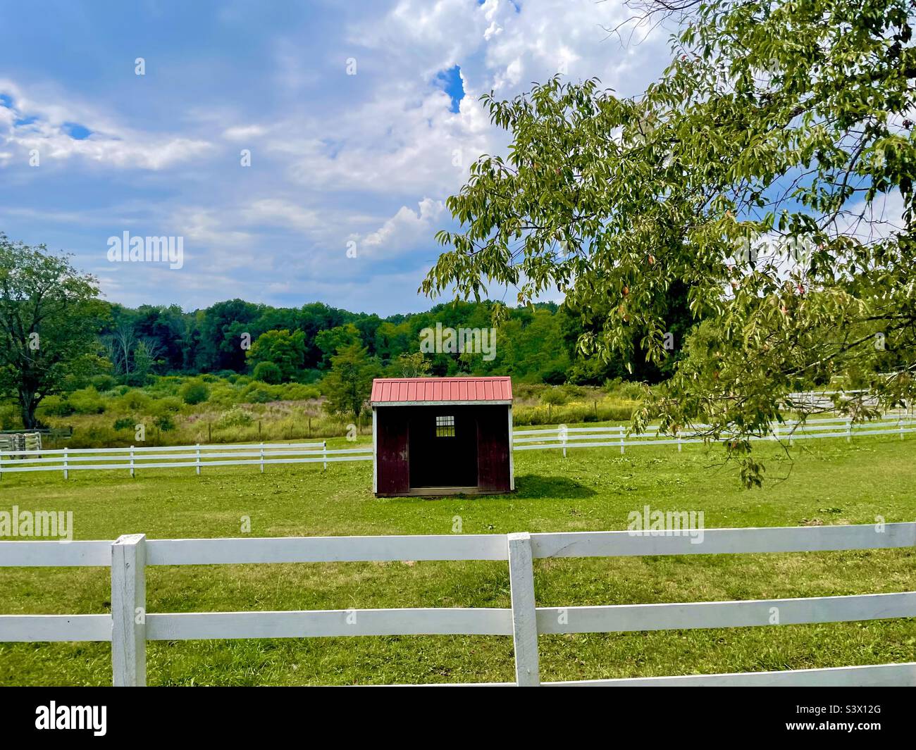 Country shed hi-res stock photography and images - Alamy