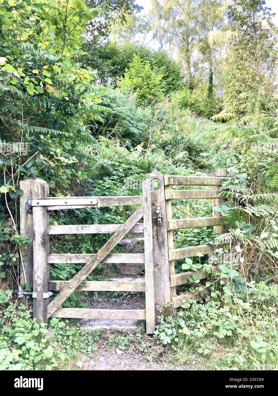 Gate on a walk in Wales Stock Photo - Alamy