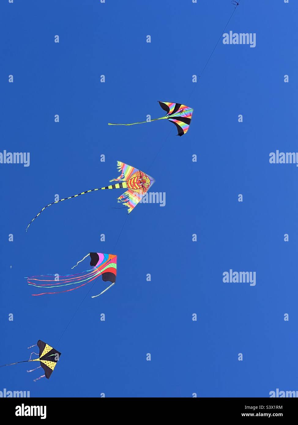 Recreational kites hi-res stock photography and images - Alamy