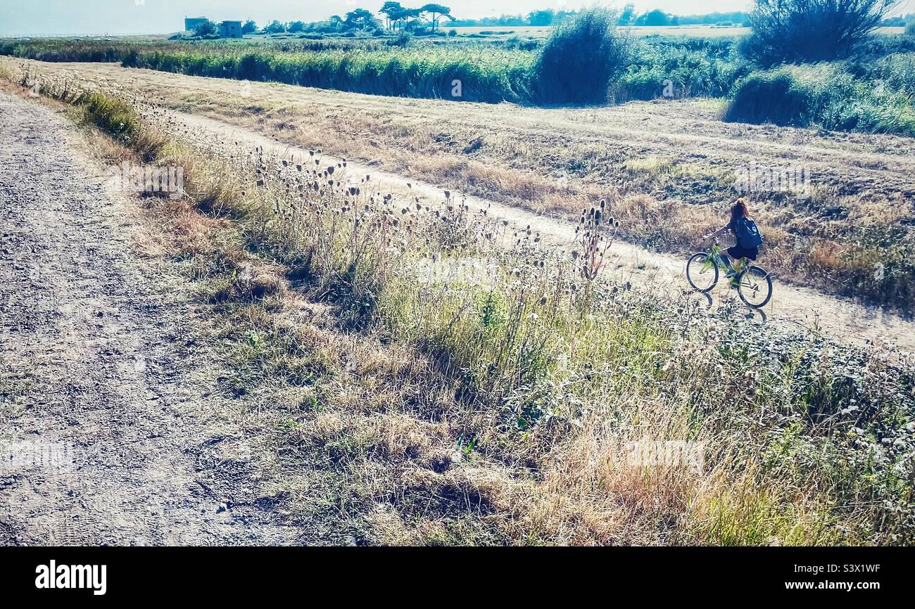 A cyclist rides path with WW2 Observation Tower backdrop at East Lane ...