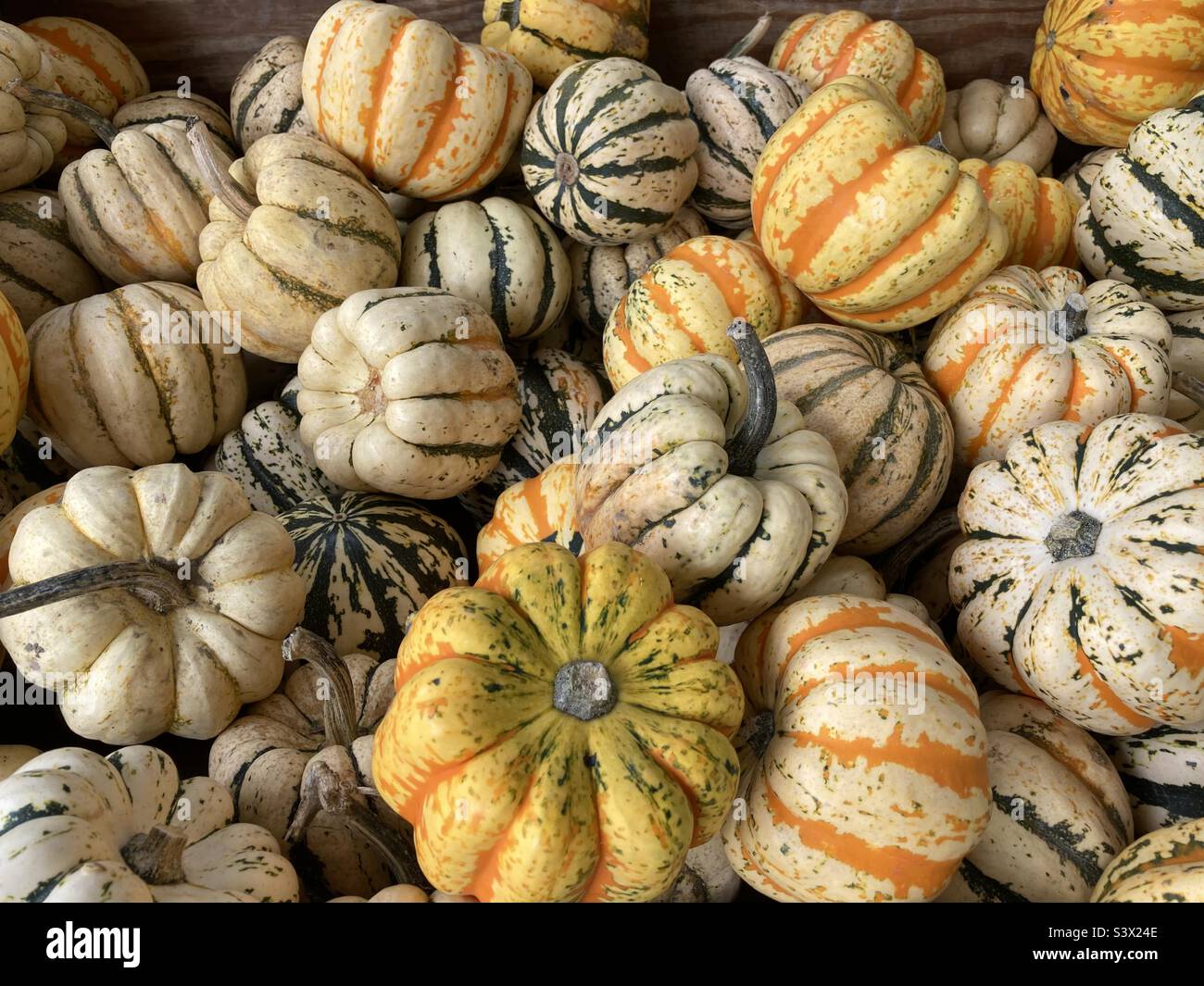 Farmers market gourd hi-res stock photography and images - Alamy