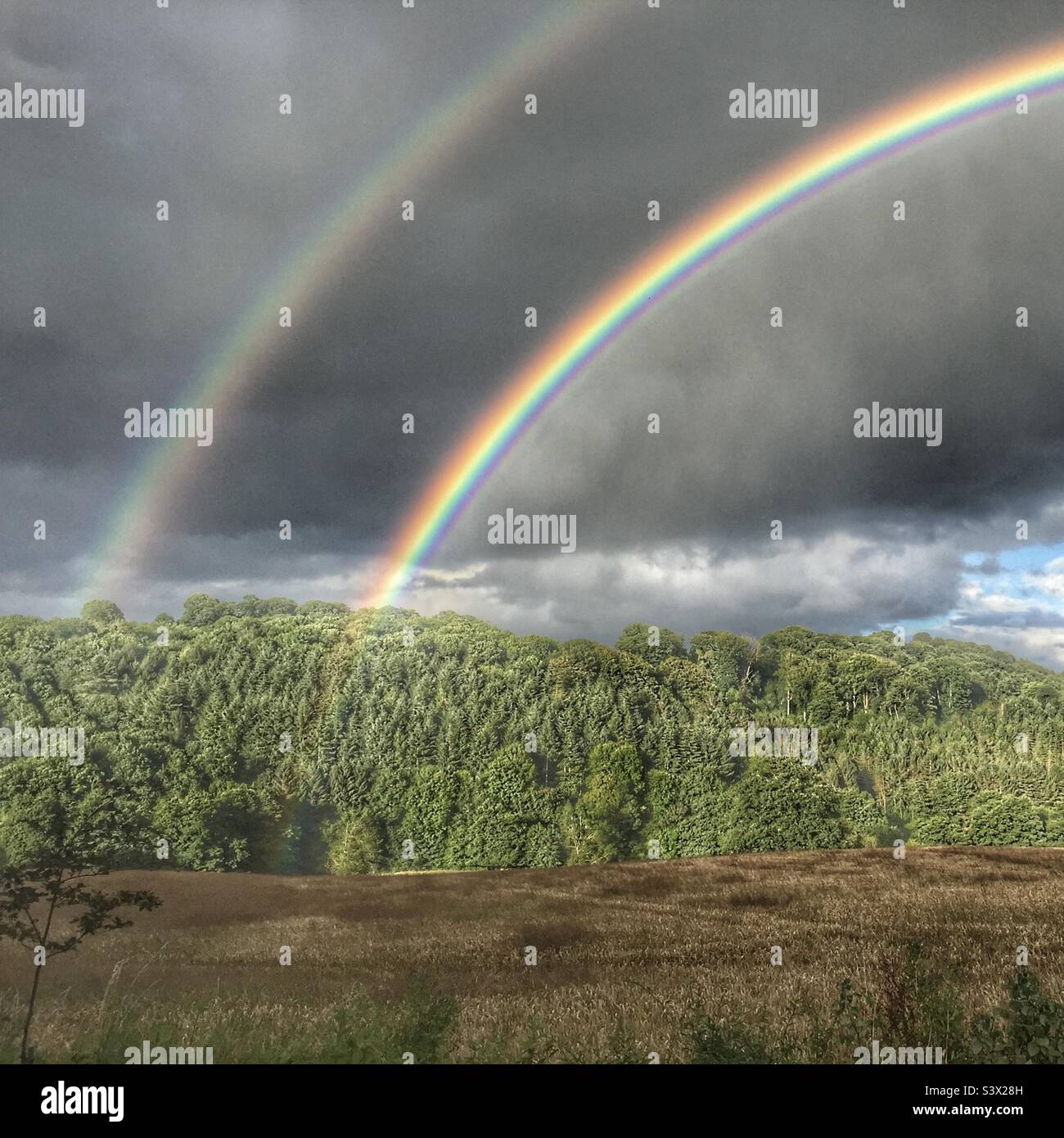 Rainbow with fields and woods hi-res stock photography and images - Alamy
