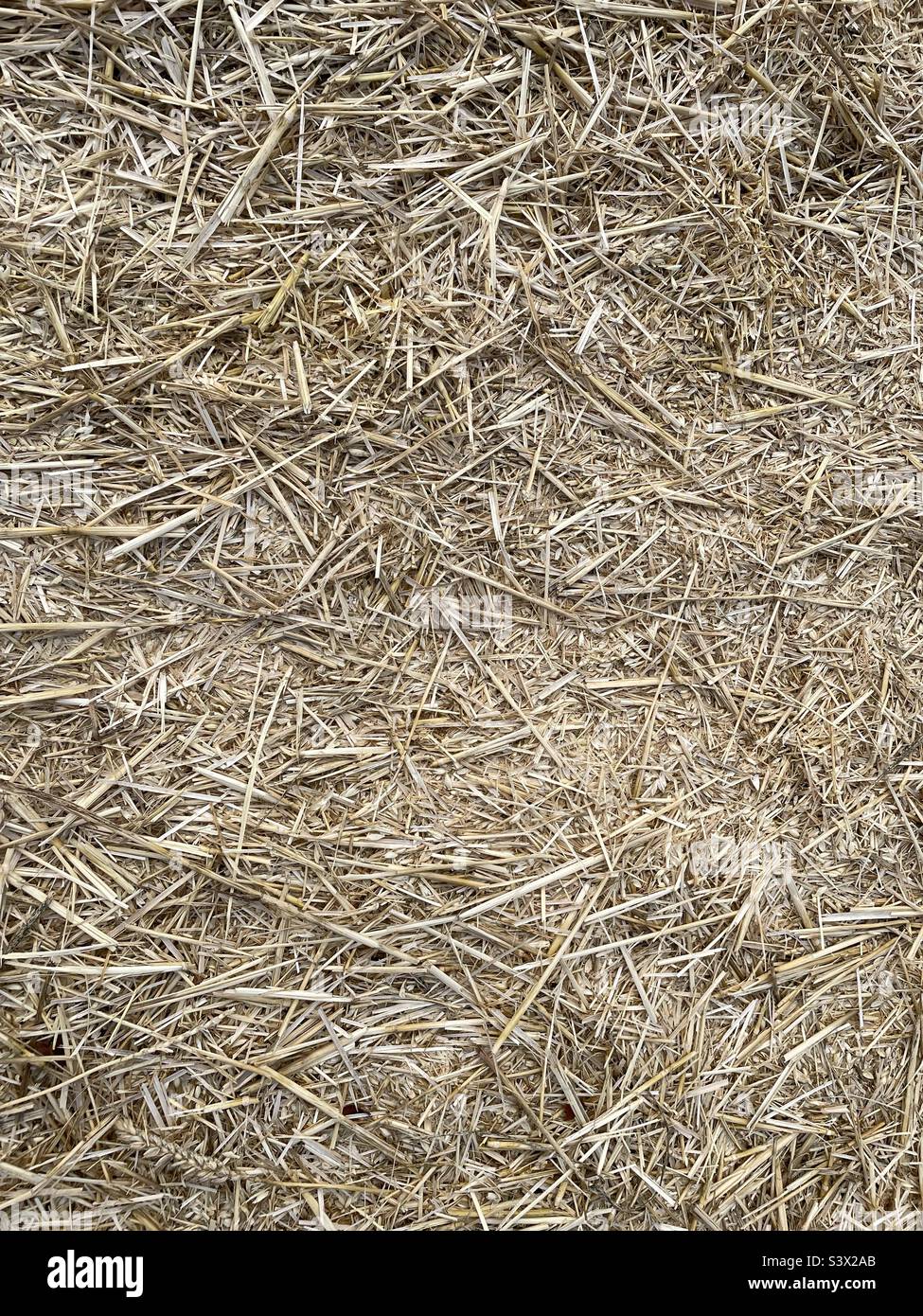 Ground straw texture hi-res stock photography and images - Alamy