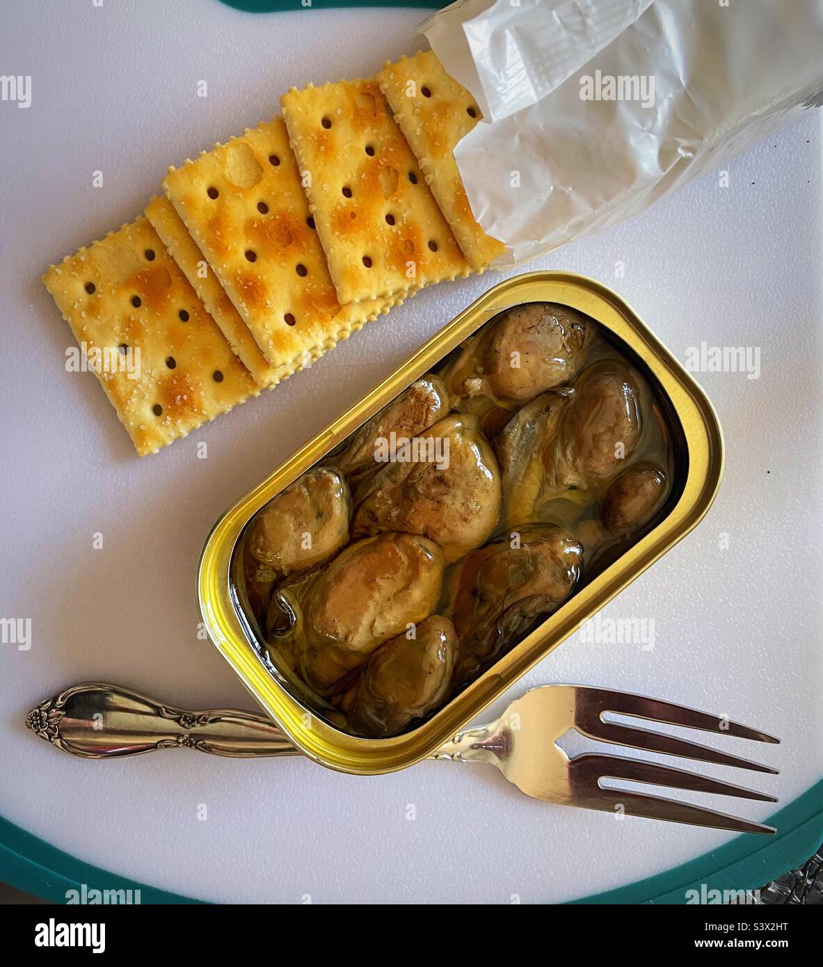 A noon time snack of smoked oysters and saltine crackers, USA Stock ...