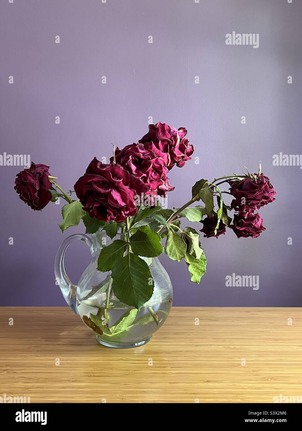 Old red roses hi-res stock photography and images - Alamy