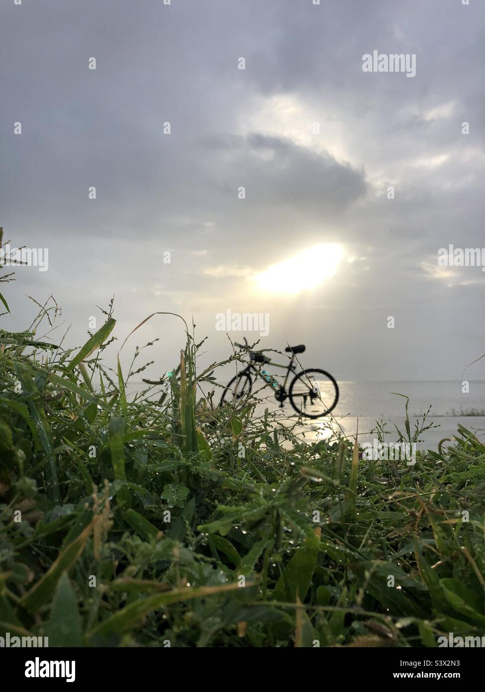 Morning cycle hi-res stock photography and images - Alamy