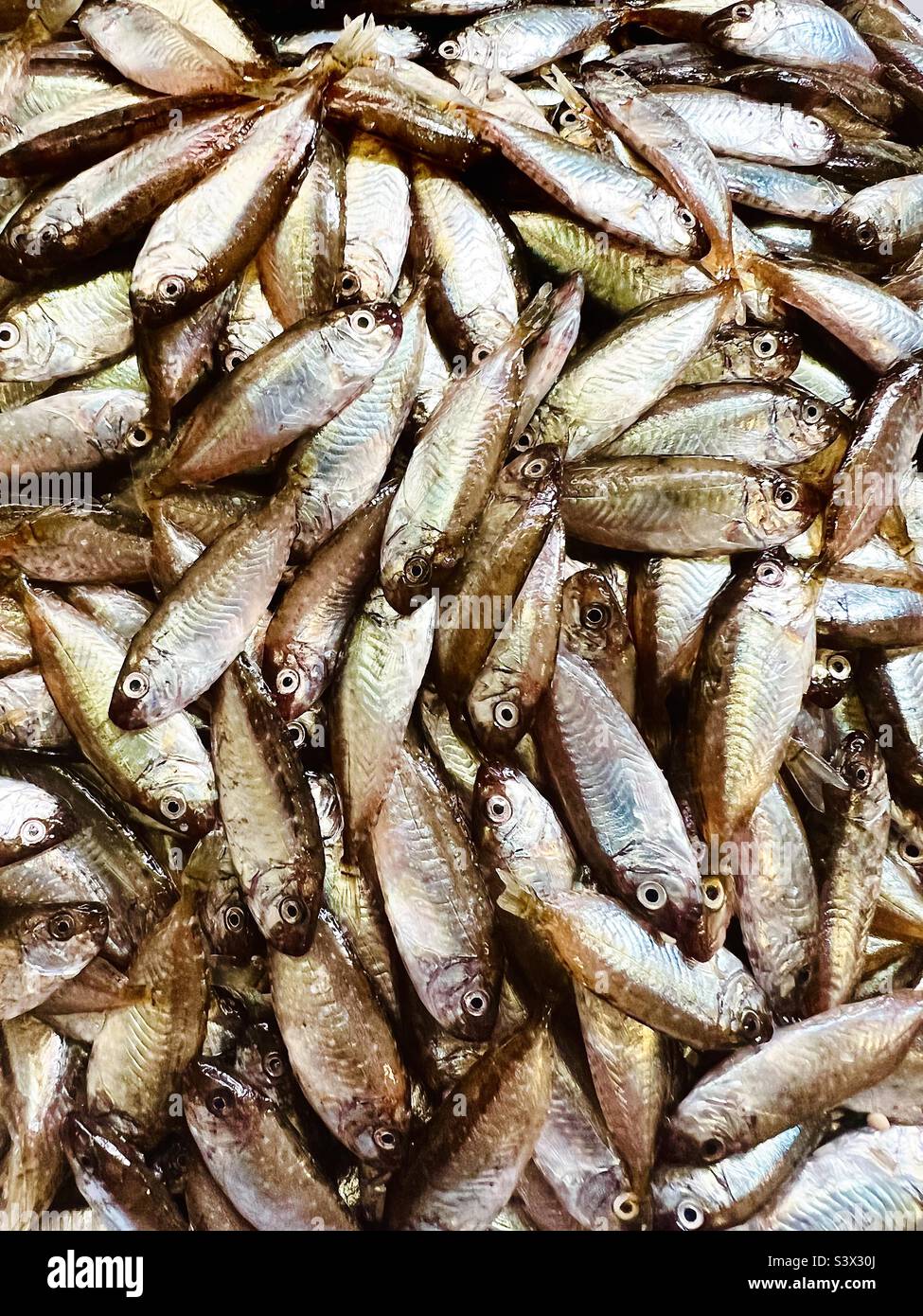 Food catch hi-res stock photography and images - Alamy