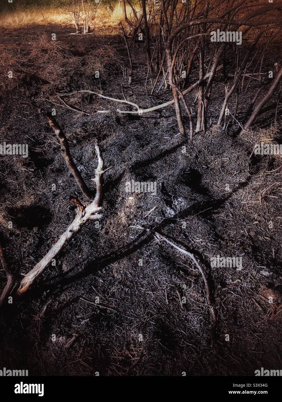 The charred remains of a summer fire in a field Stock Photo - Alamy
