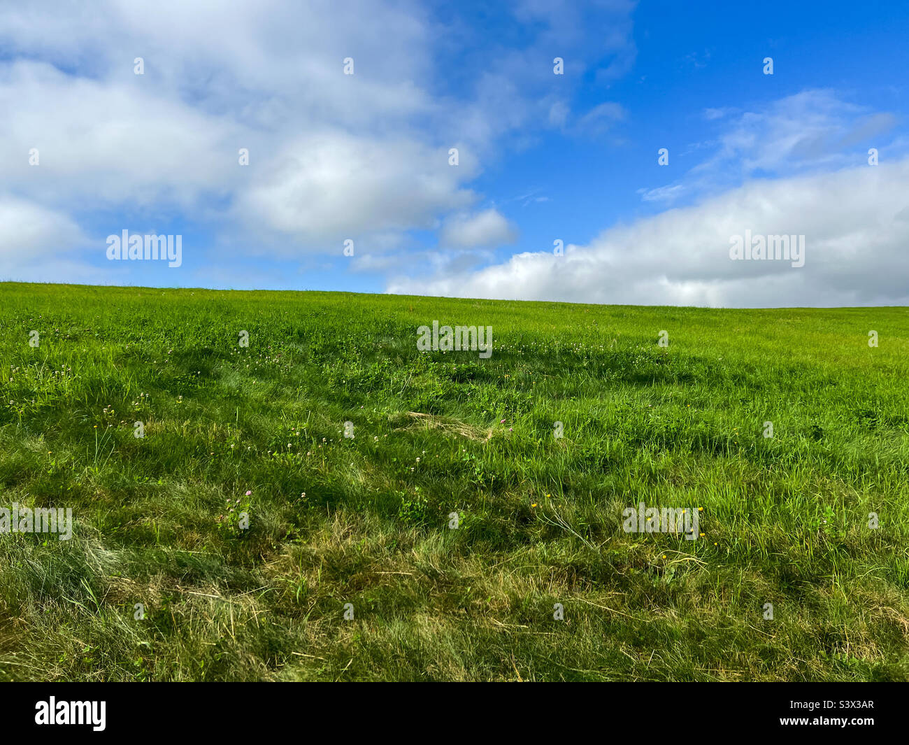 Grassy slope background hi-res stock photography and images - Alamy