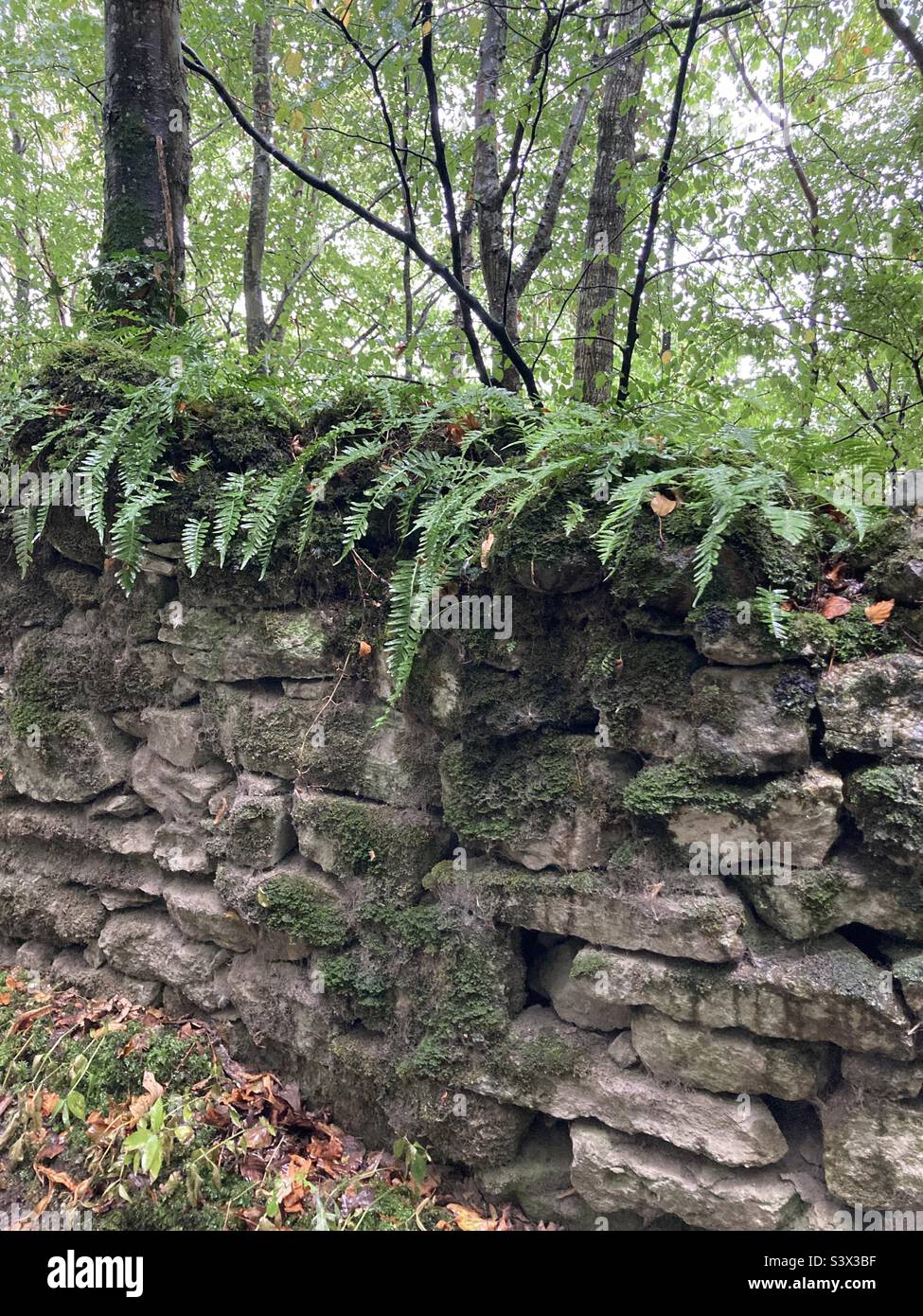 Growth stone hi-res stock photography and images - Alamy