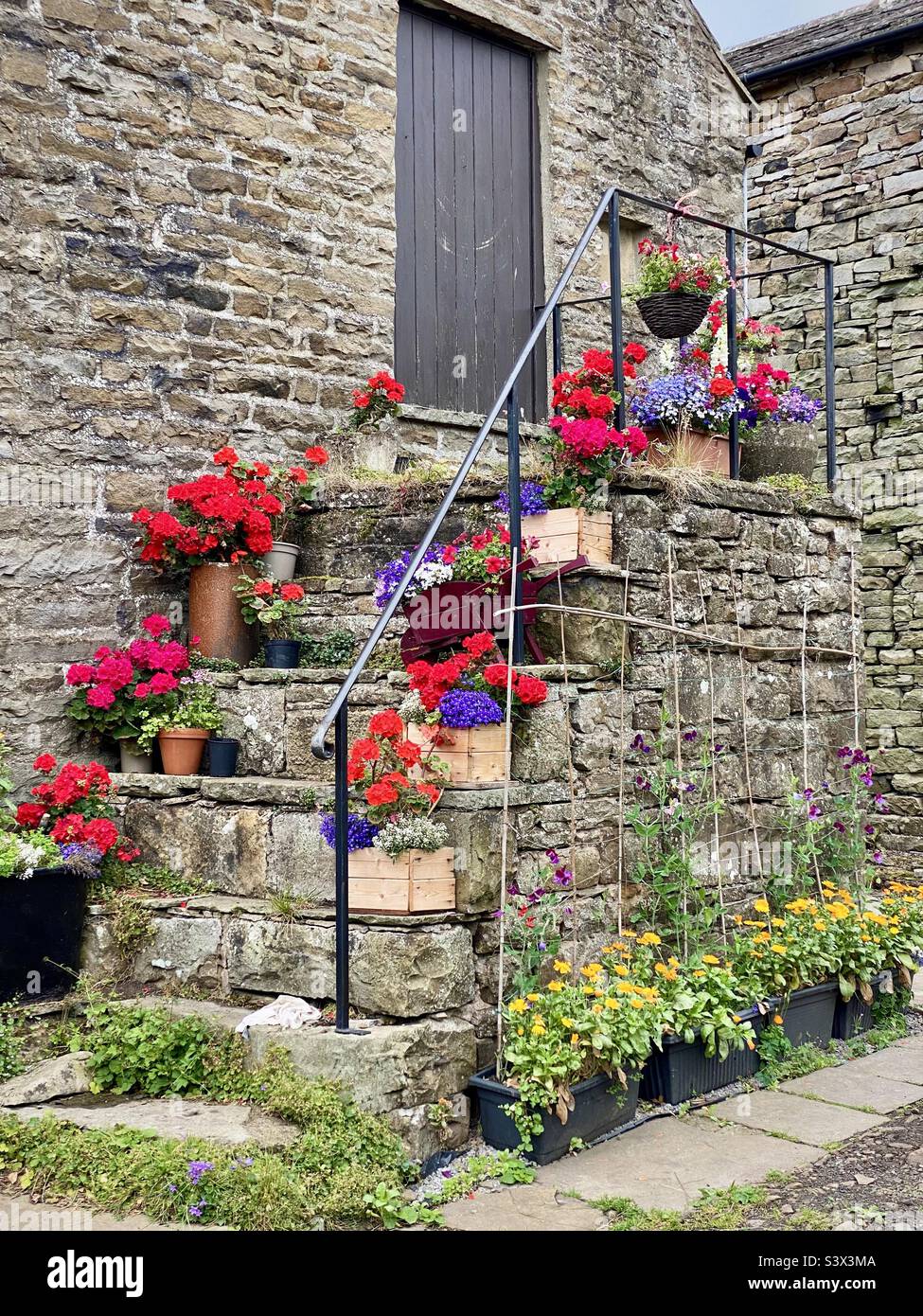 Stepped on flowers hi-res stock photography and images - Alamy