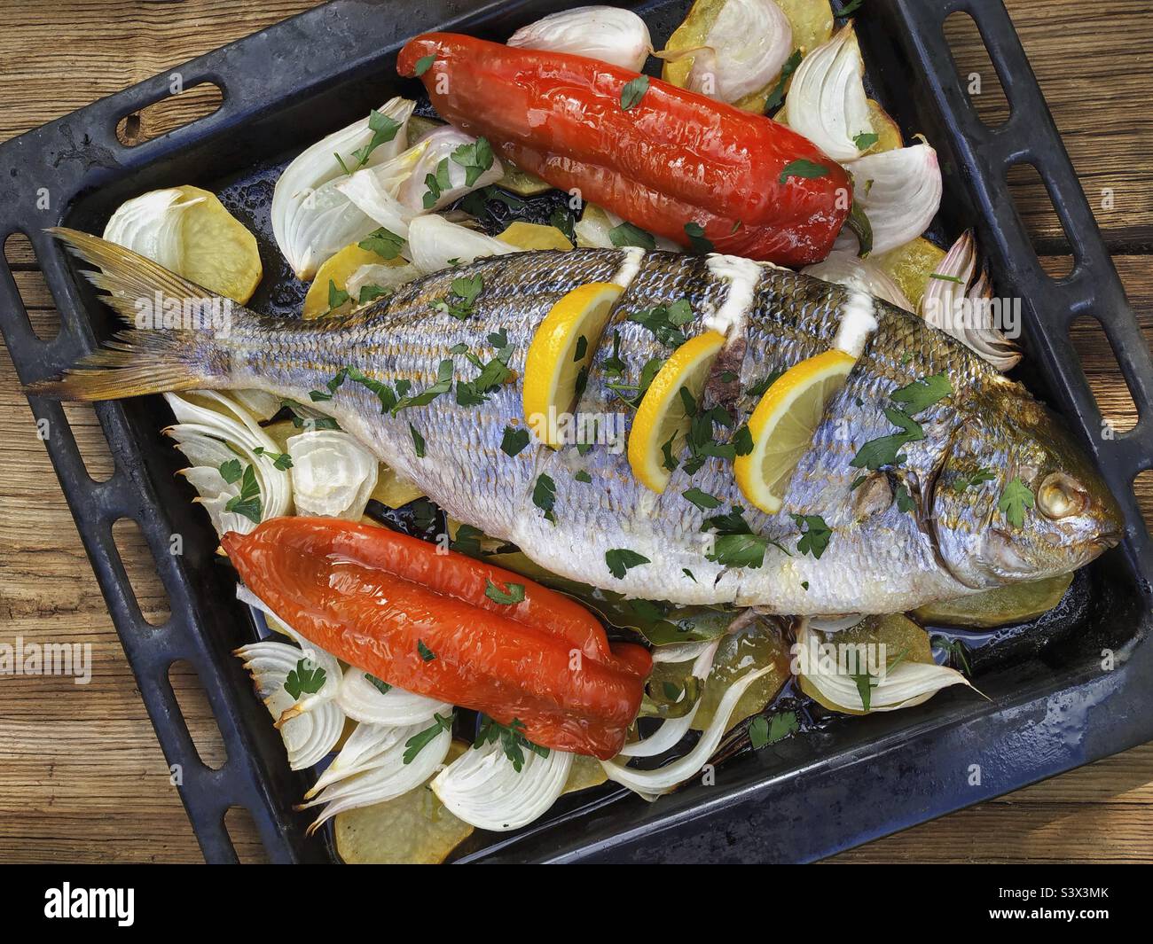 Dreamfish hi-res stock photography and images - Alamy