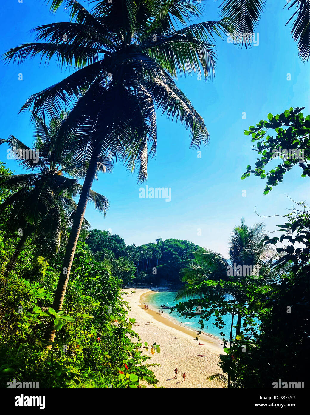Freedom beach in Phuket… tropical beach view with palm trees and ...