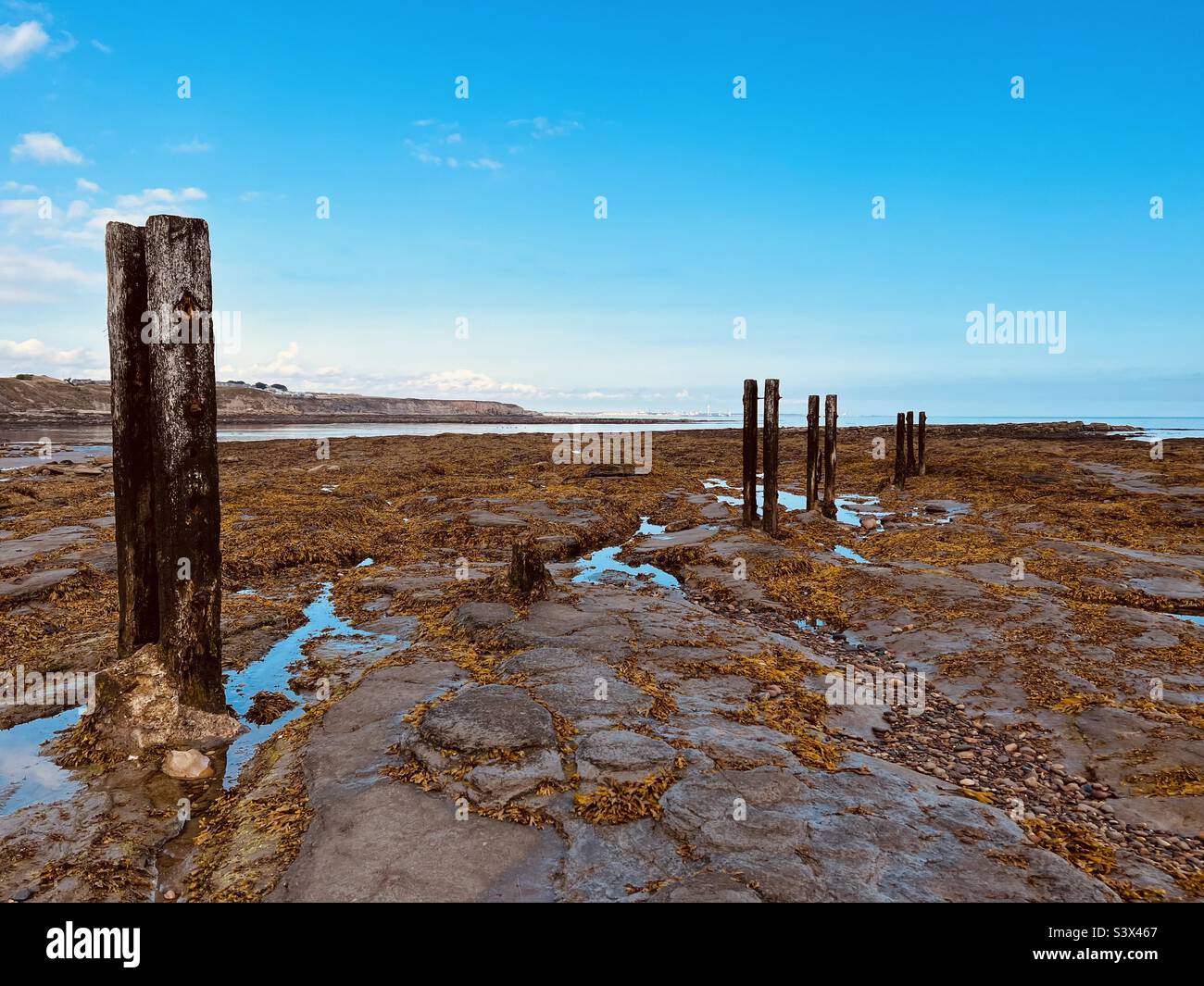 Wooden posts beach sky beach hi-res stock photography and images - Alamy