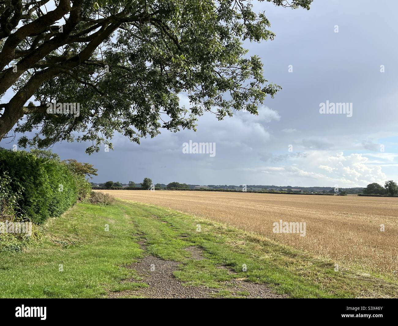 Thundery rain clouds over fields Stock Photo - Alamy