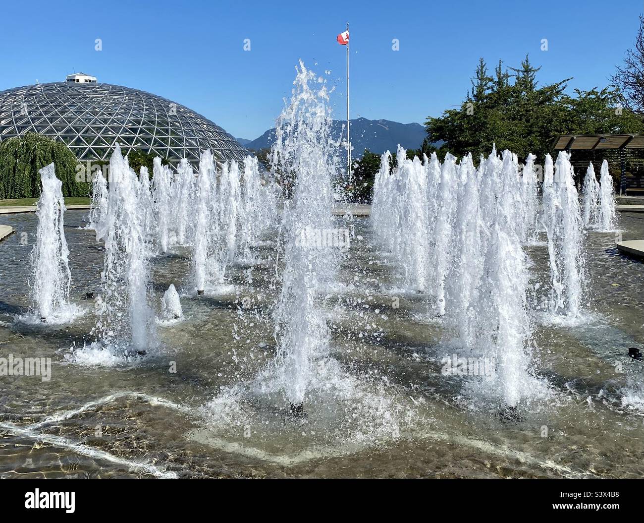 Queen Elizabeth park Stock Photo - Alamy