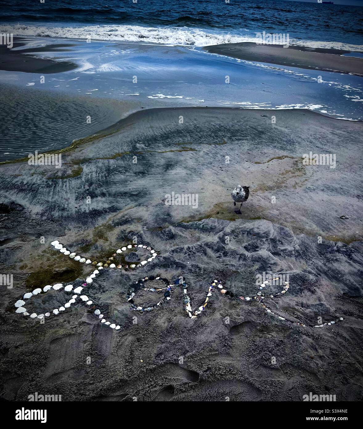 Love shells hi-res stock photography and images - Alamy