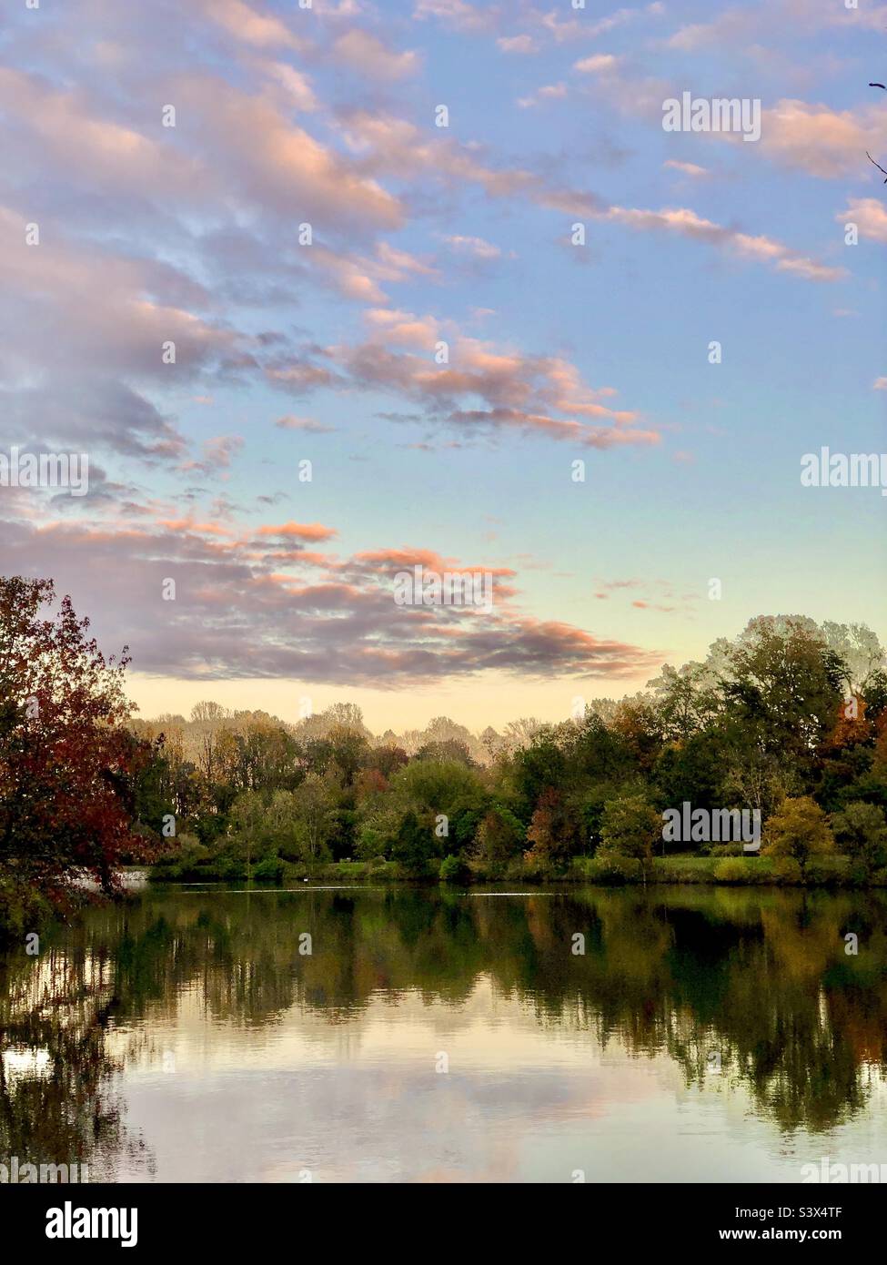 Begins fall hi-res stock photography and images - Alamy