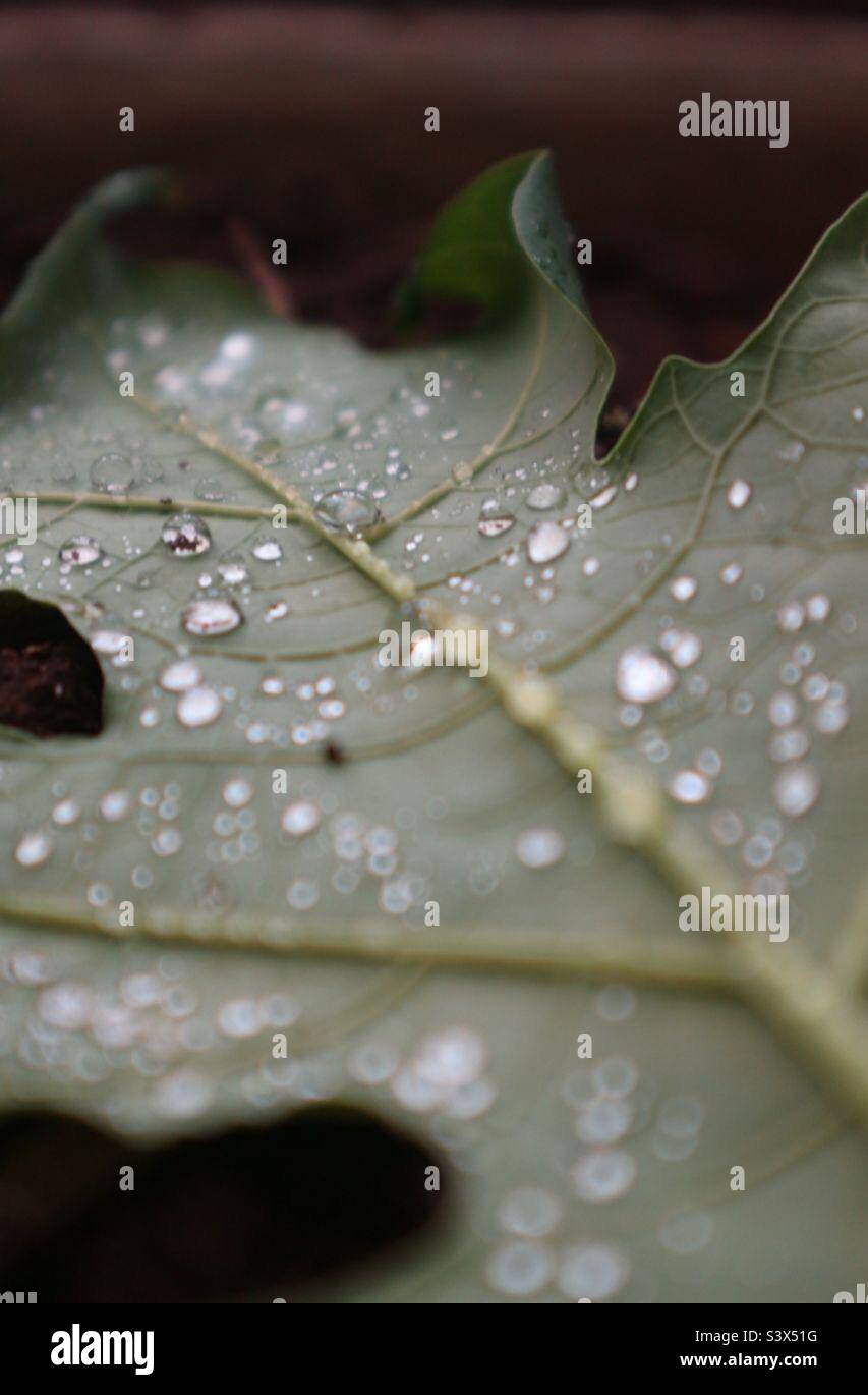 Zooming in in the water hi-res stock photography and images - Alamy