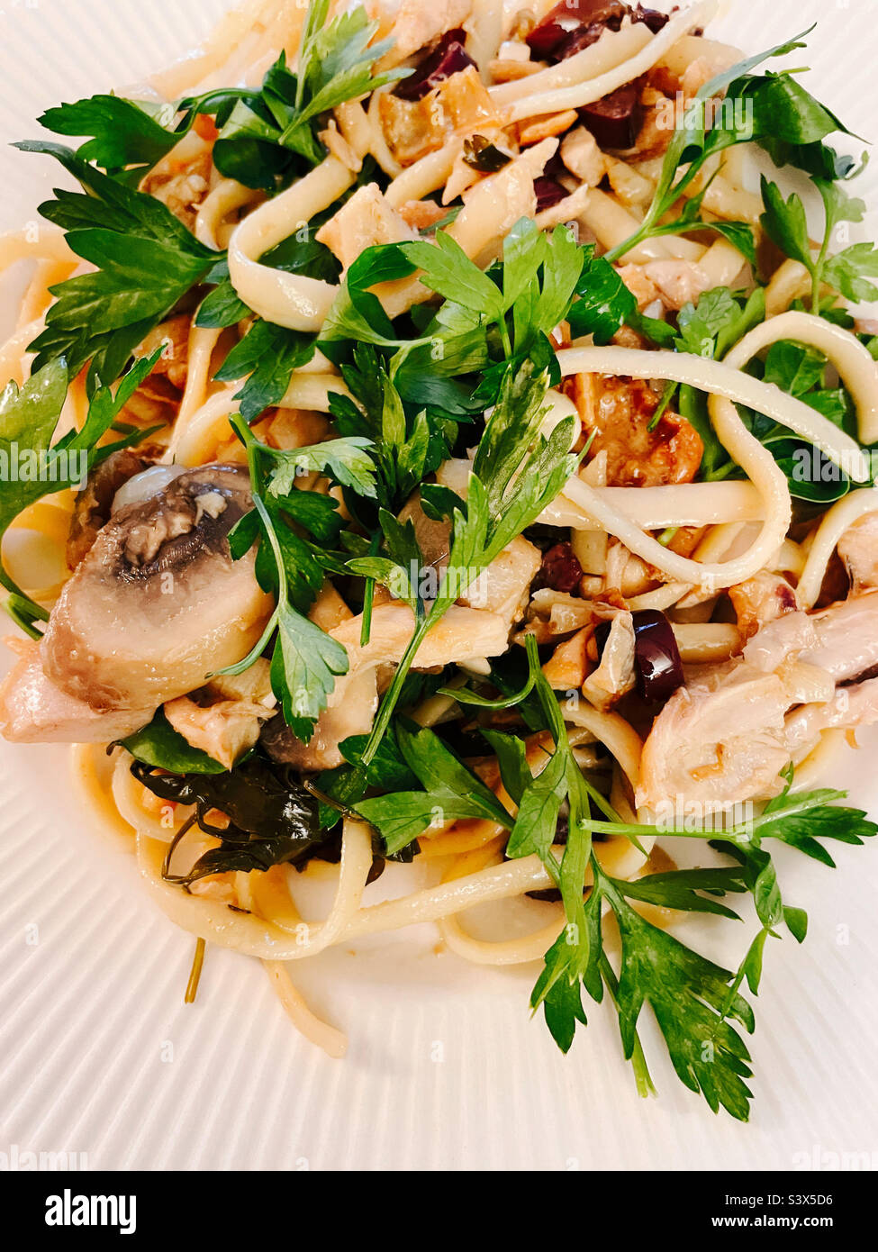 Close up of an Italian pasta spaghetti dish with Italian parsley ...