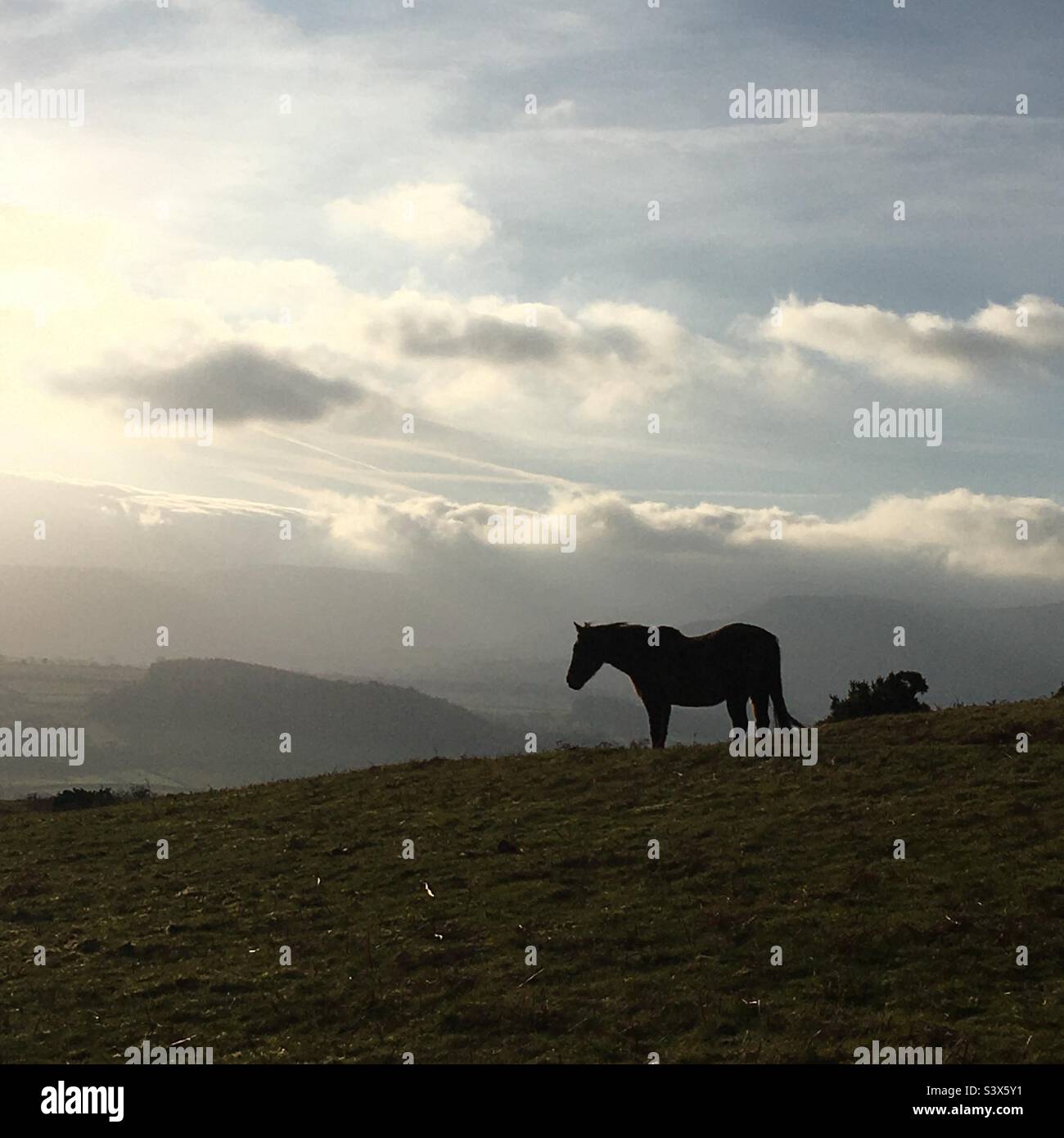 Dramatic horse hi-res stock photography and images - Alamy
