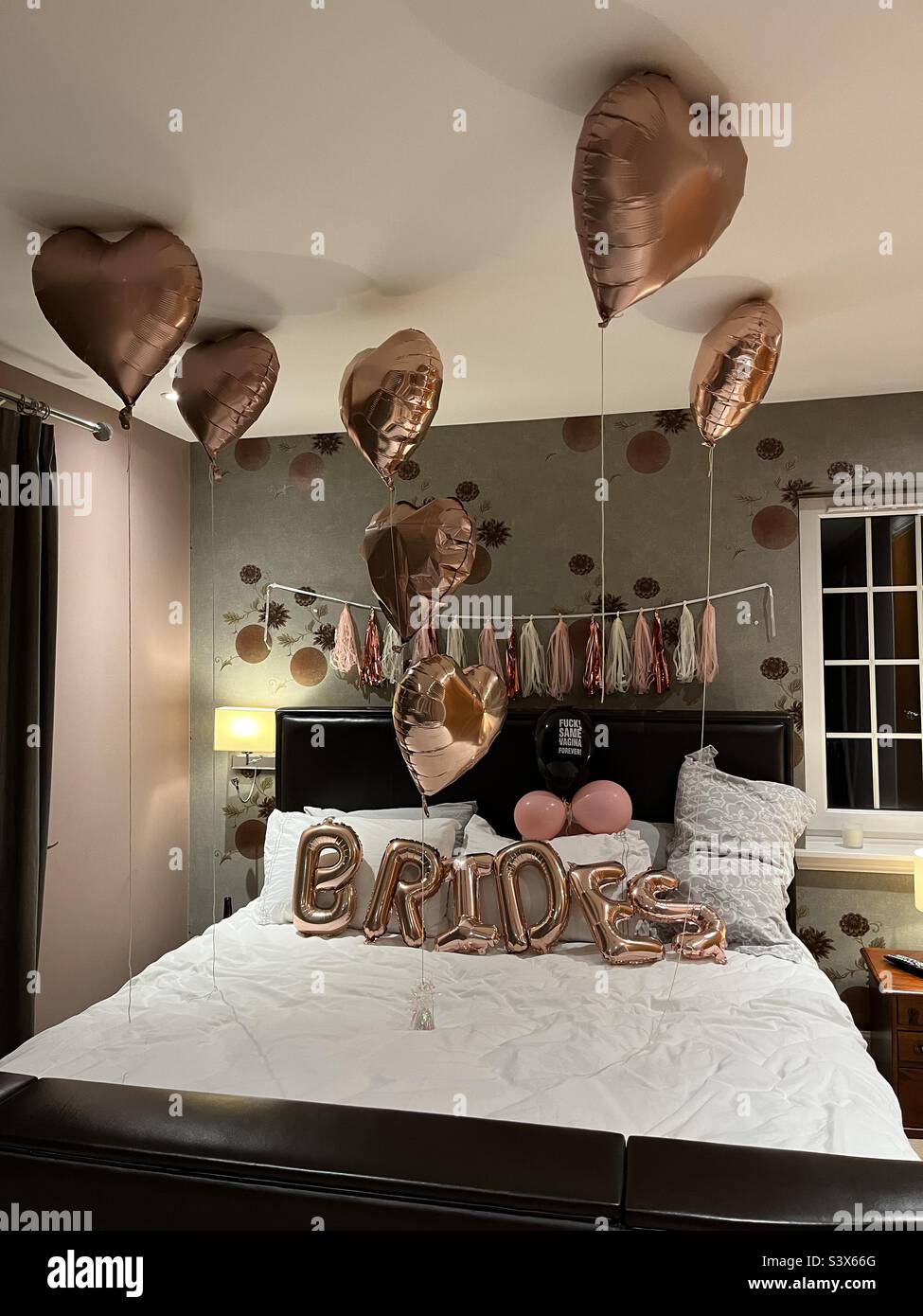 Hen doo hi-res stock photography and images - Alamy