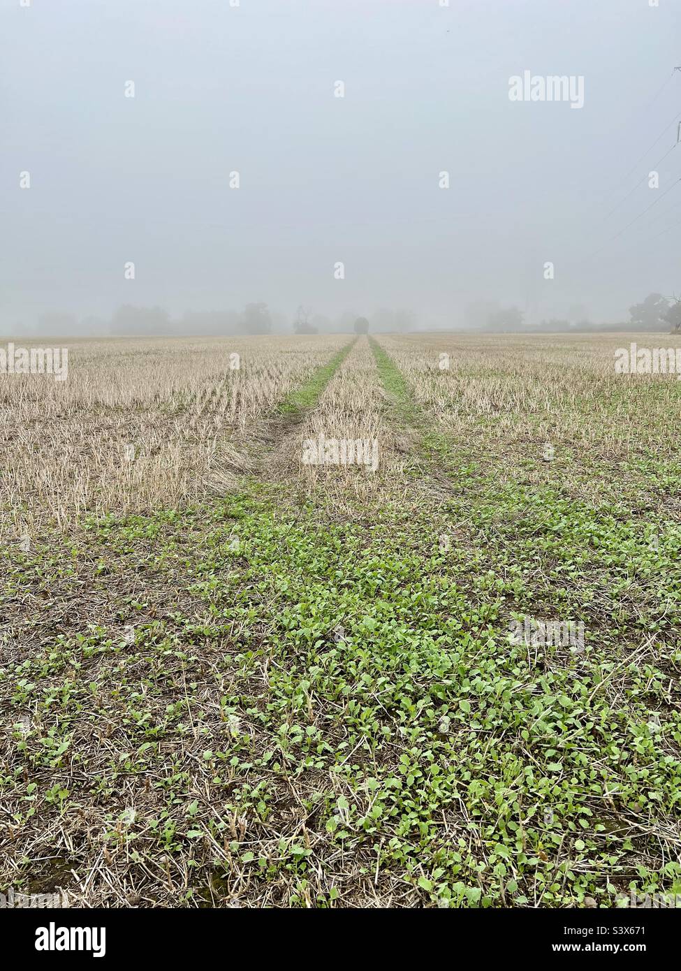 Crops in farmers fields hi-res stock photography and images - Alamy