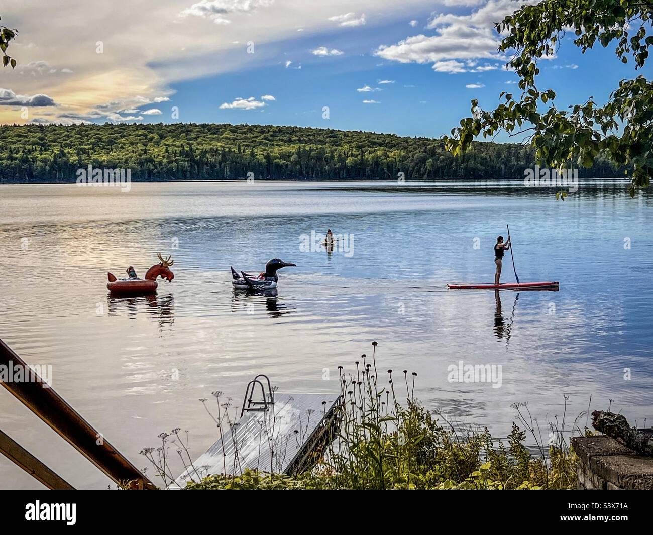A woman on a stand up paddle board tows children on inflatable loon and ...