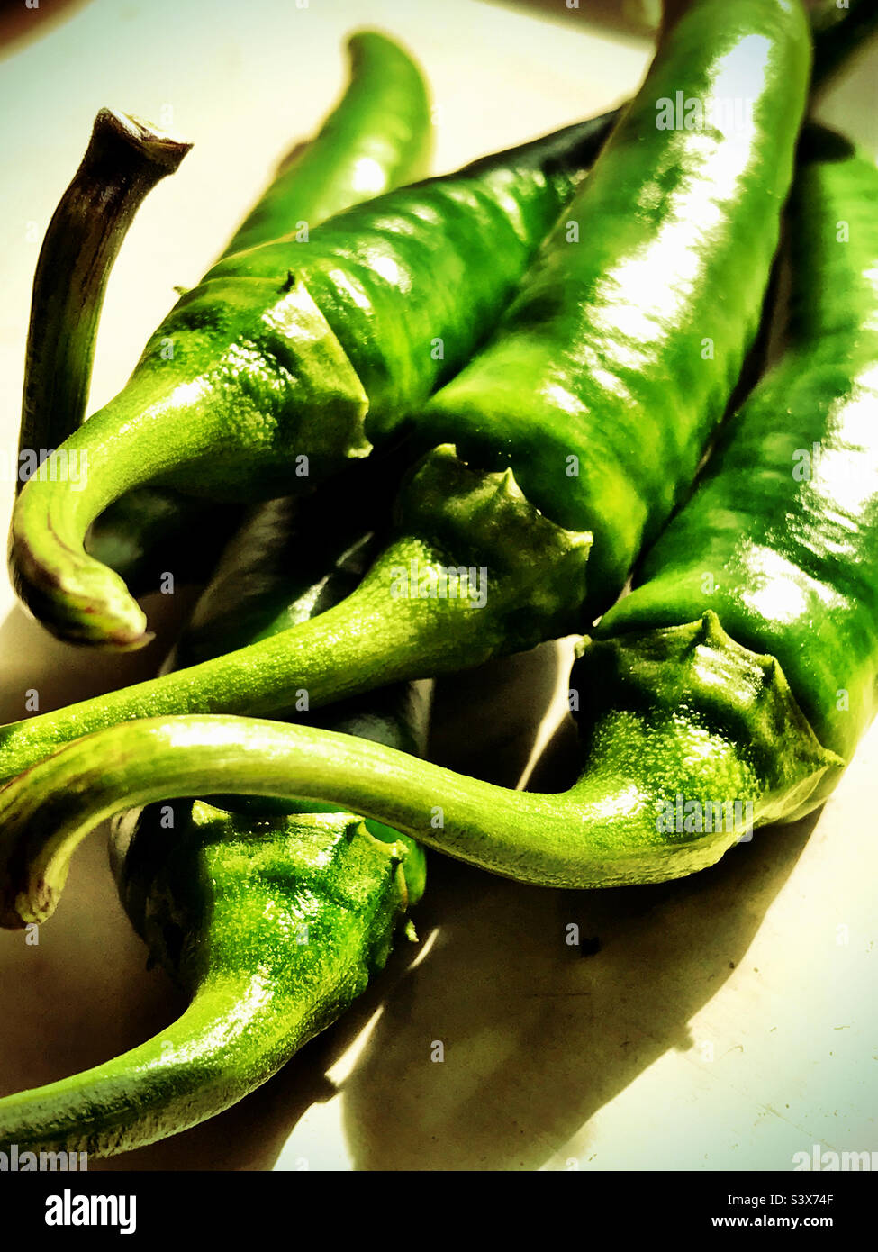 Chilli peppers Capsicum Solanaceae Stock Photo - Alamy