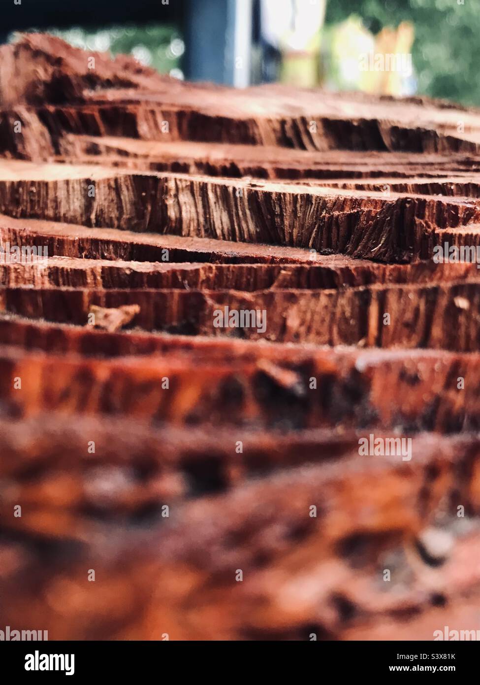 Tree log hi-res stock photography and images - Alamy