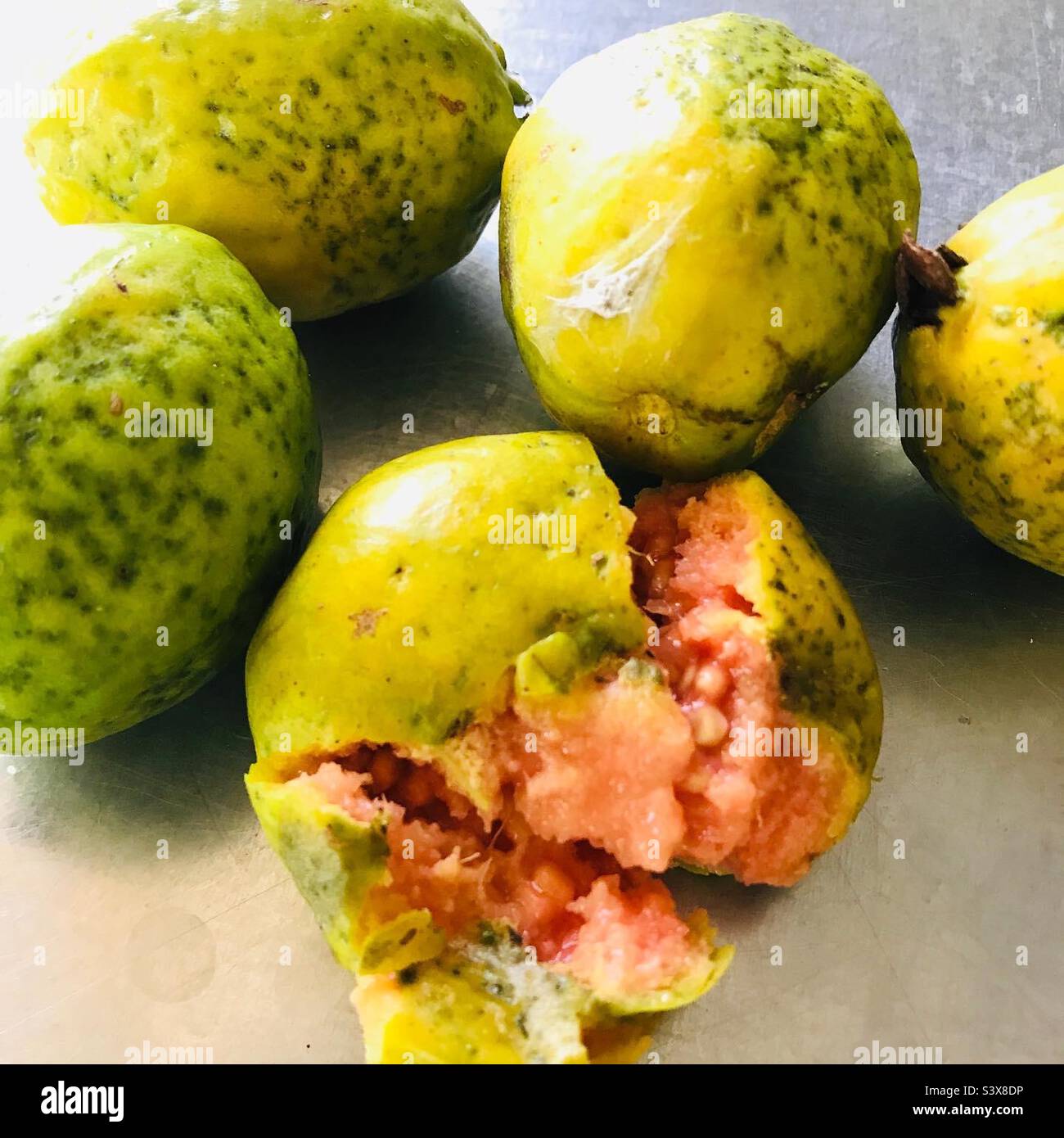 Common guavas hi-res stock photography and images - Alamy