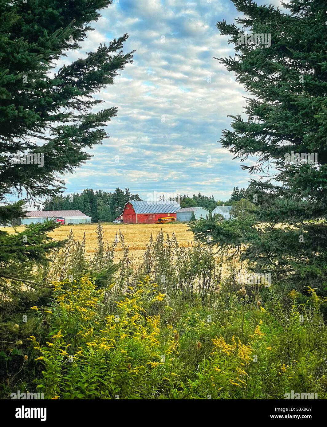 Red barn in rural Prince Edward Island, Canada Stock Photo - Alamy