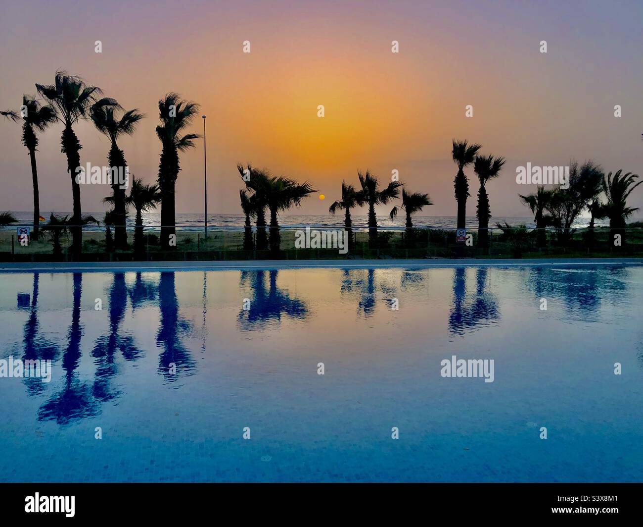 Palmy me hi-res stock photography and images - Alamy