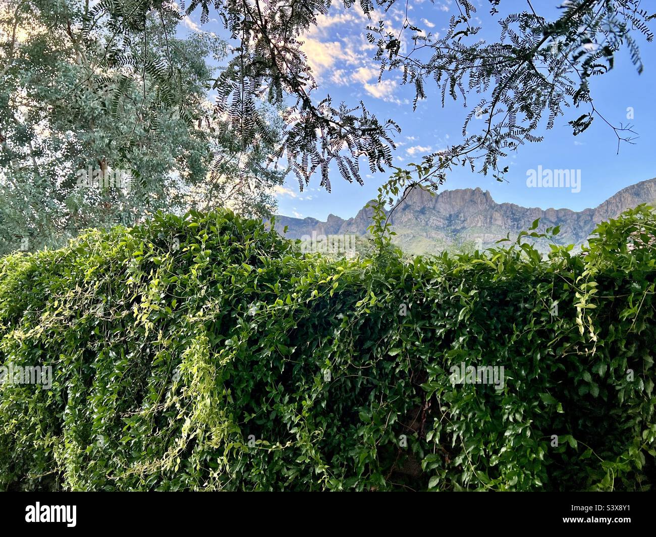 Glorious garden hi-res stock photography and images - Alamy