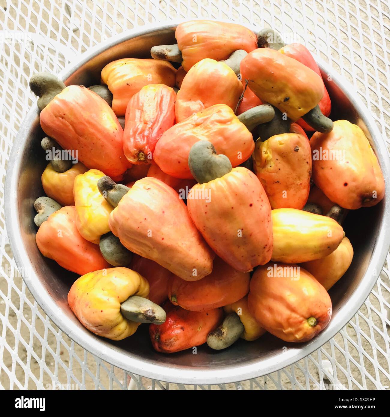 Cashew trees hi-res stock photography and images - Alamy
