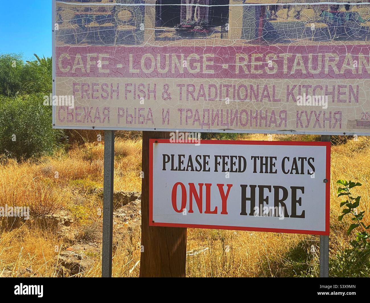 Cats sign hi-res stock photography and images - Alamy